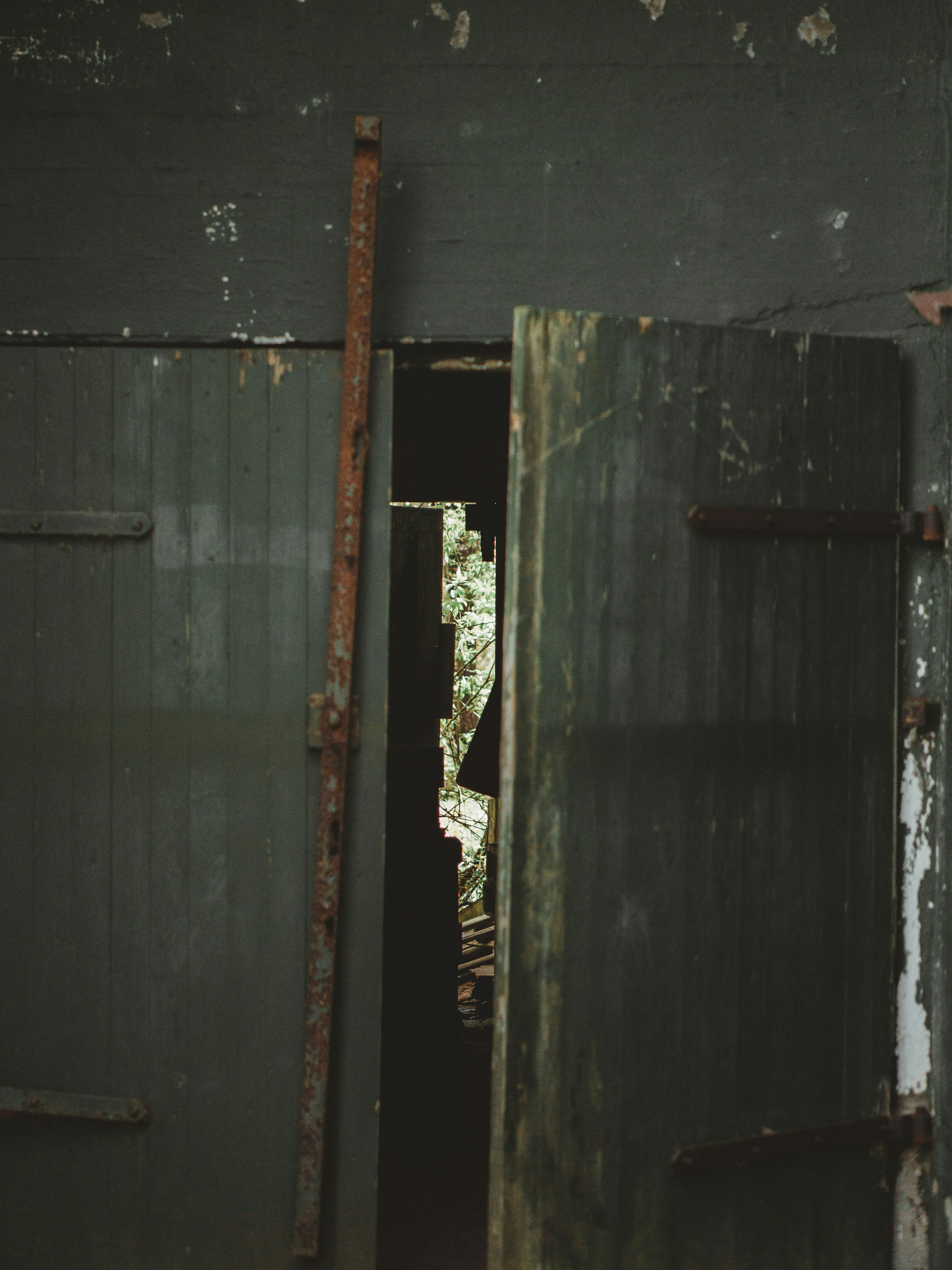 View through partially open, rusted doors revealing a glimpse of the overgrown landscape beyond. The setting evokes a sense of mystery and nostalgia.