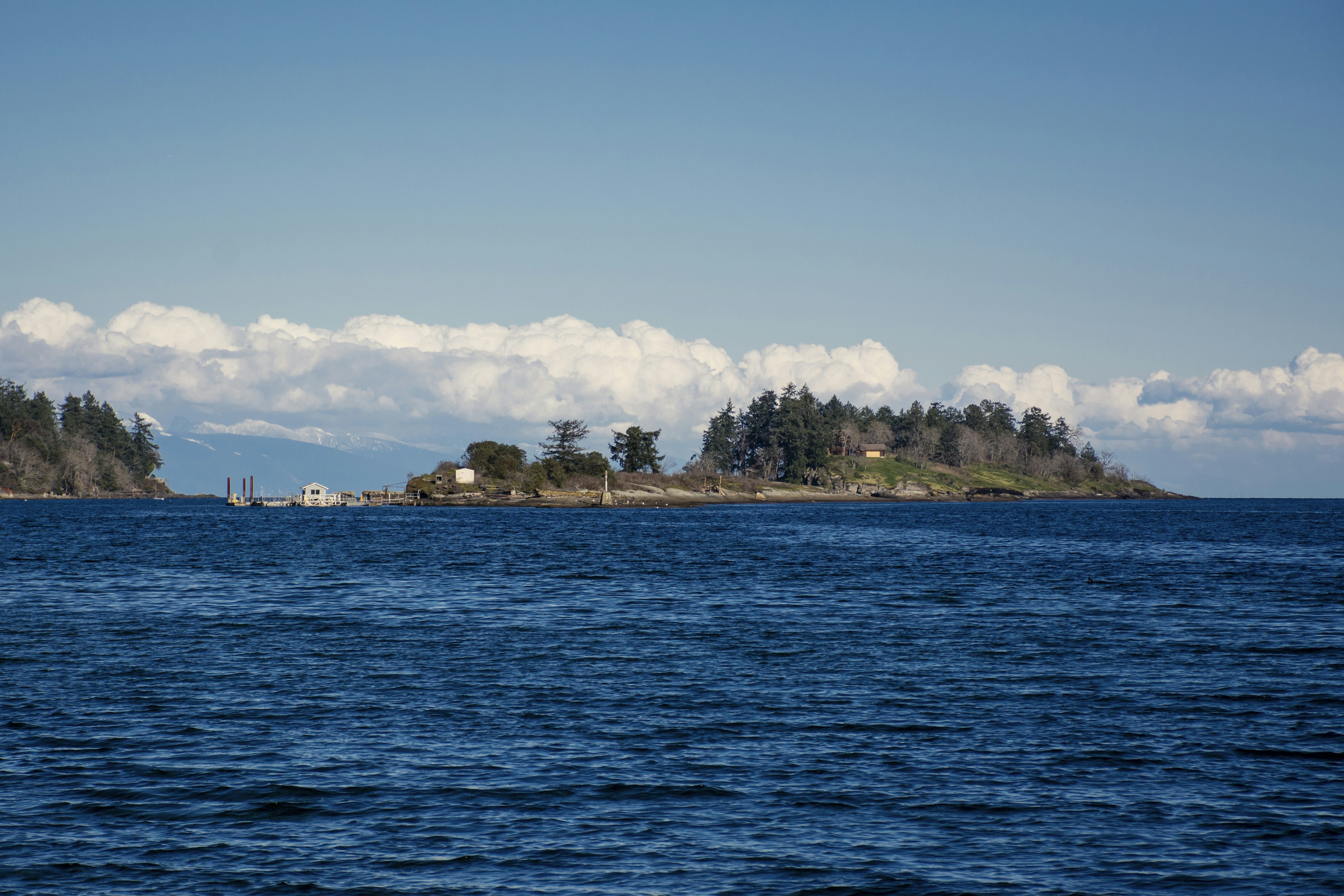Distant island with lush trees surrounded by deep blue ocean under a clear sky.