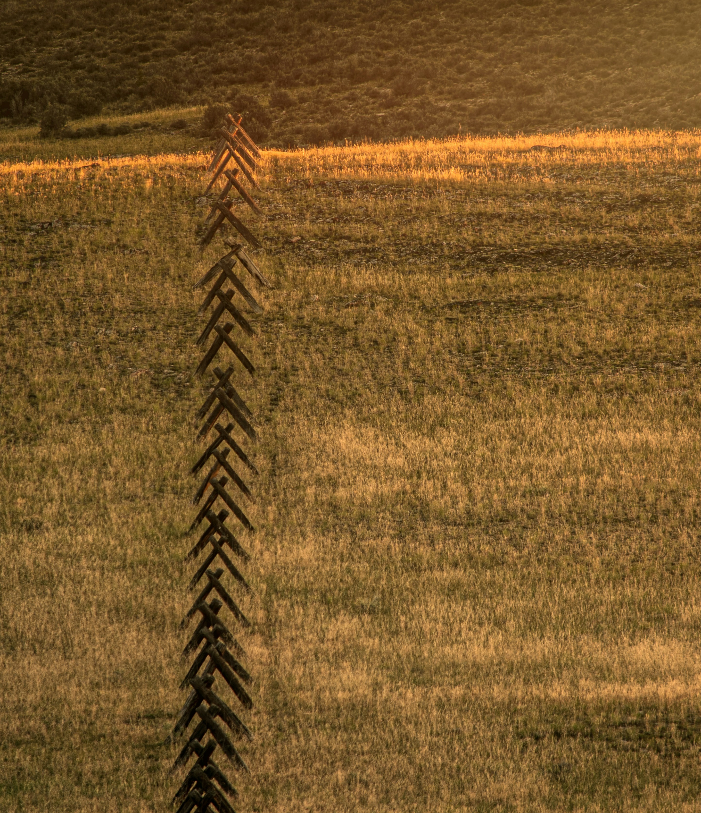 Stair-Step Fence in a Golden Prairie at Dusk