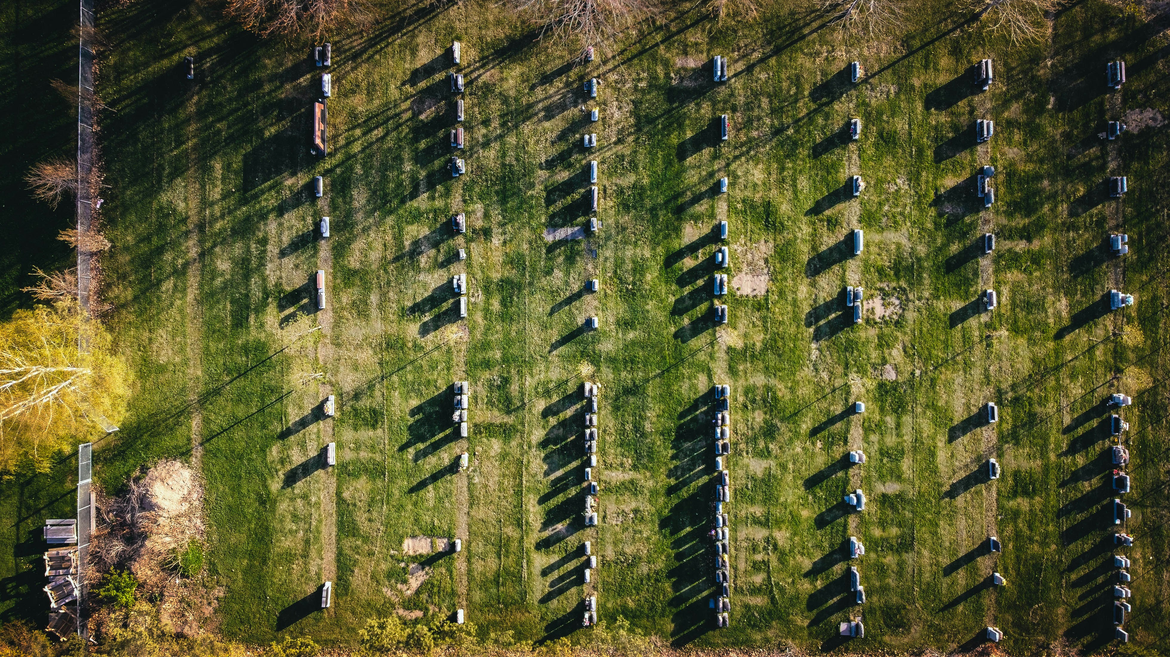 Aerial view of a cemetery, showcasing rows of gravestones casting long shadows on the green grass. The scene conveys a sense of serenity and reflection.