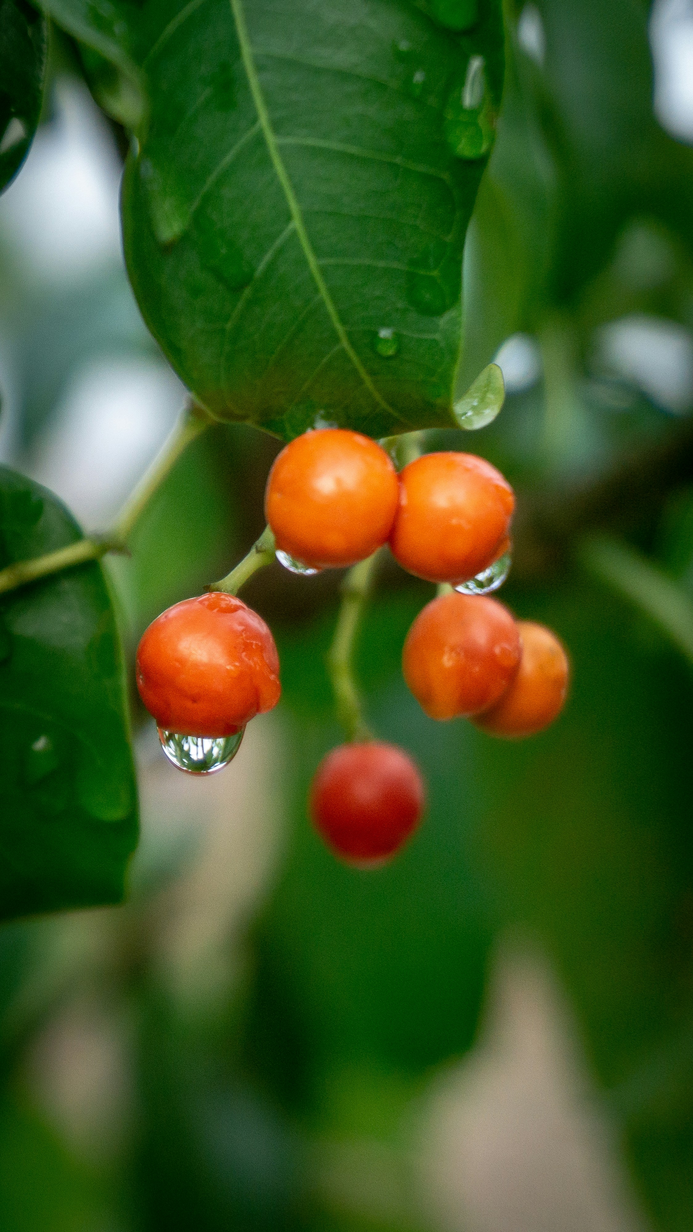 Enoch Appiah Jr. (@iamrobotboy) | Communauté photos Unsplash