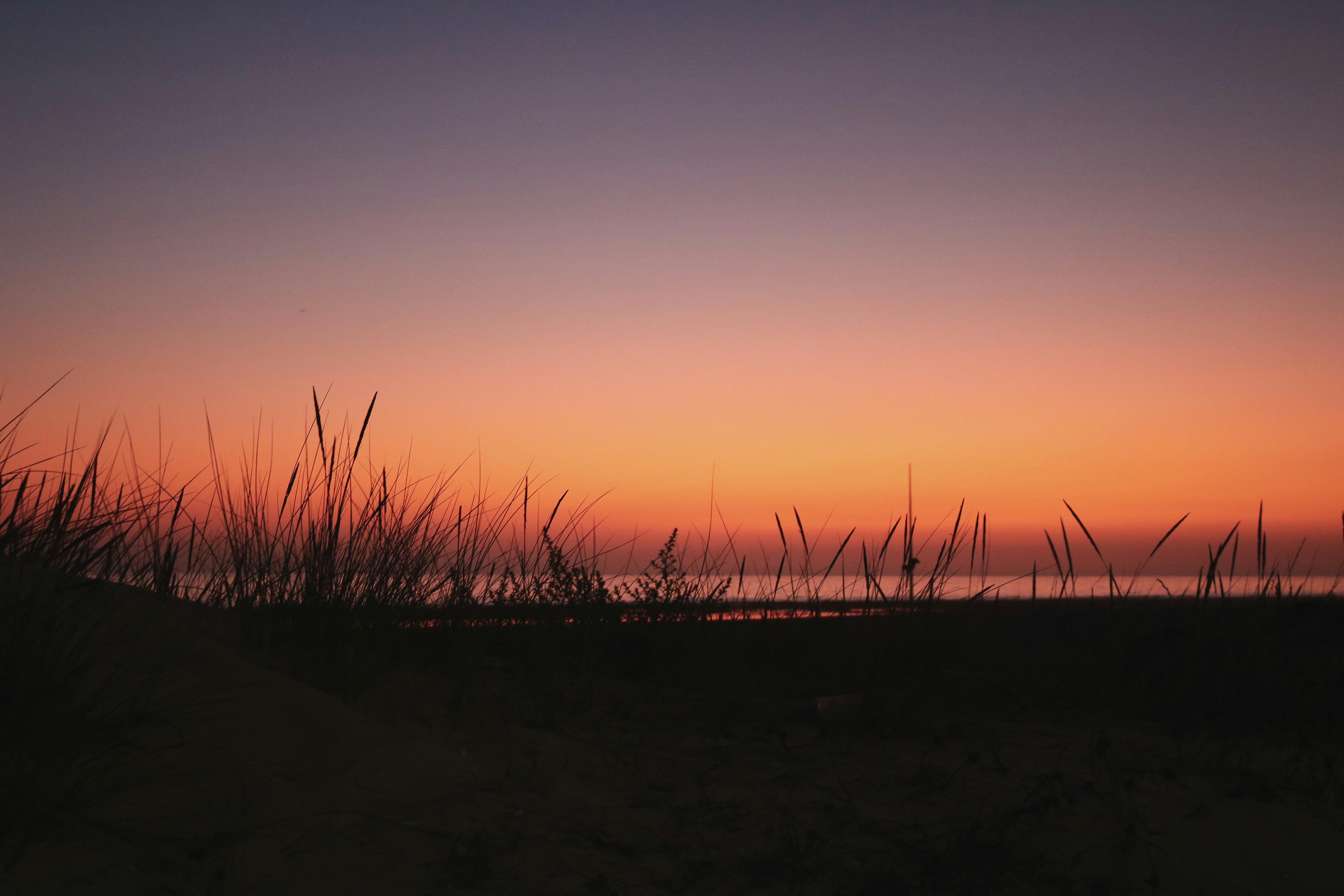 Silhouette of grass against a vibrant orange and purple sunset over the ocean.