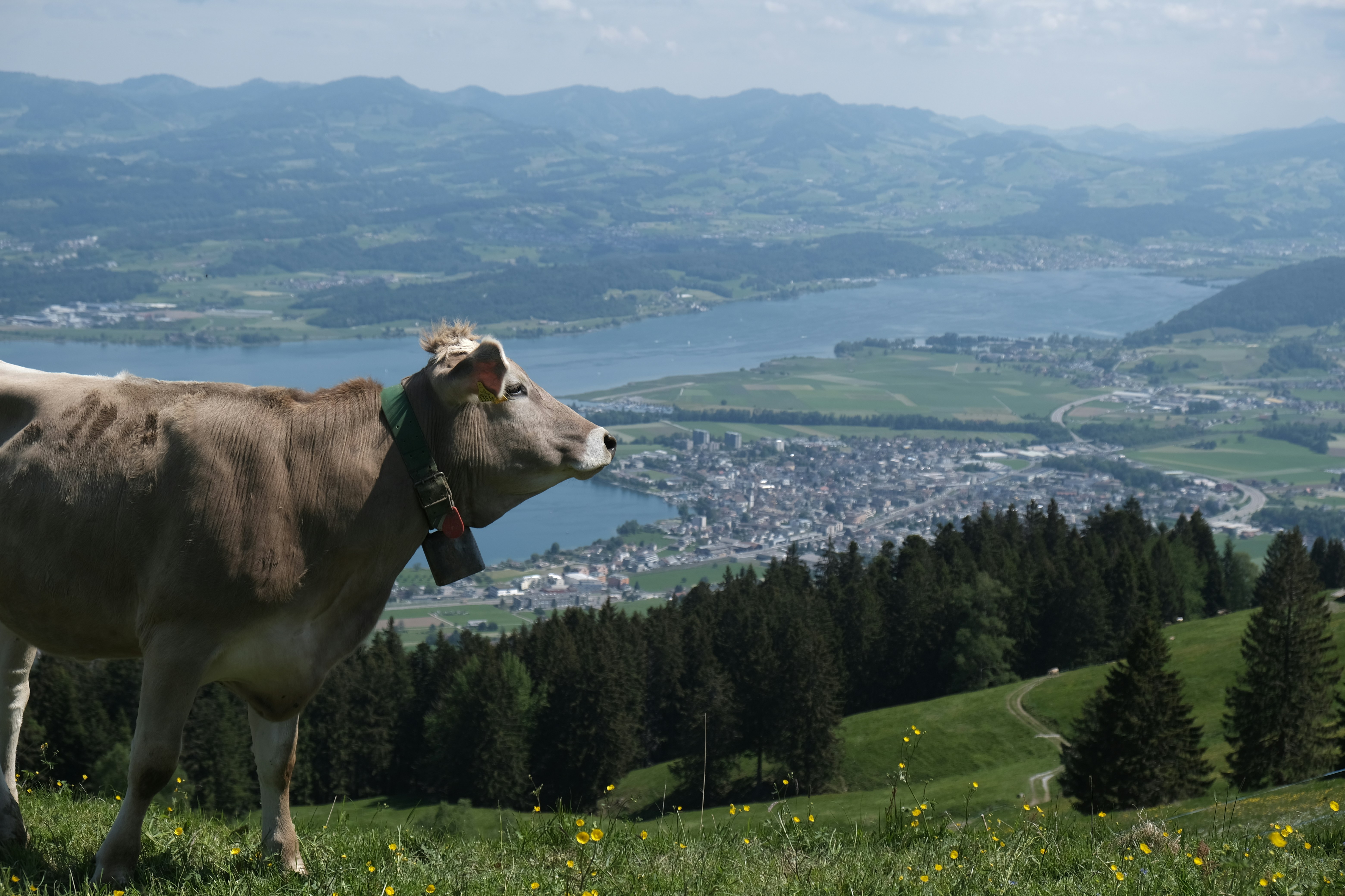 Christian Egli (@socialegli) | Unsplashフォトコミュニティ