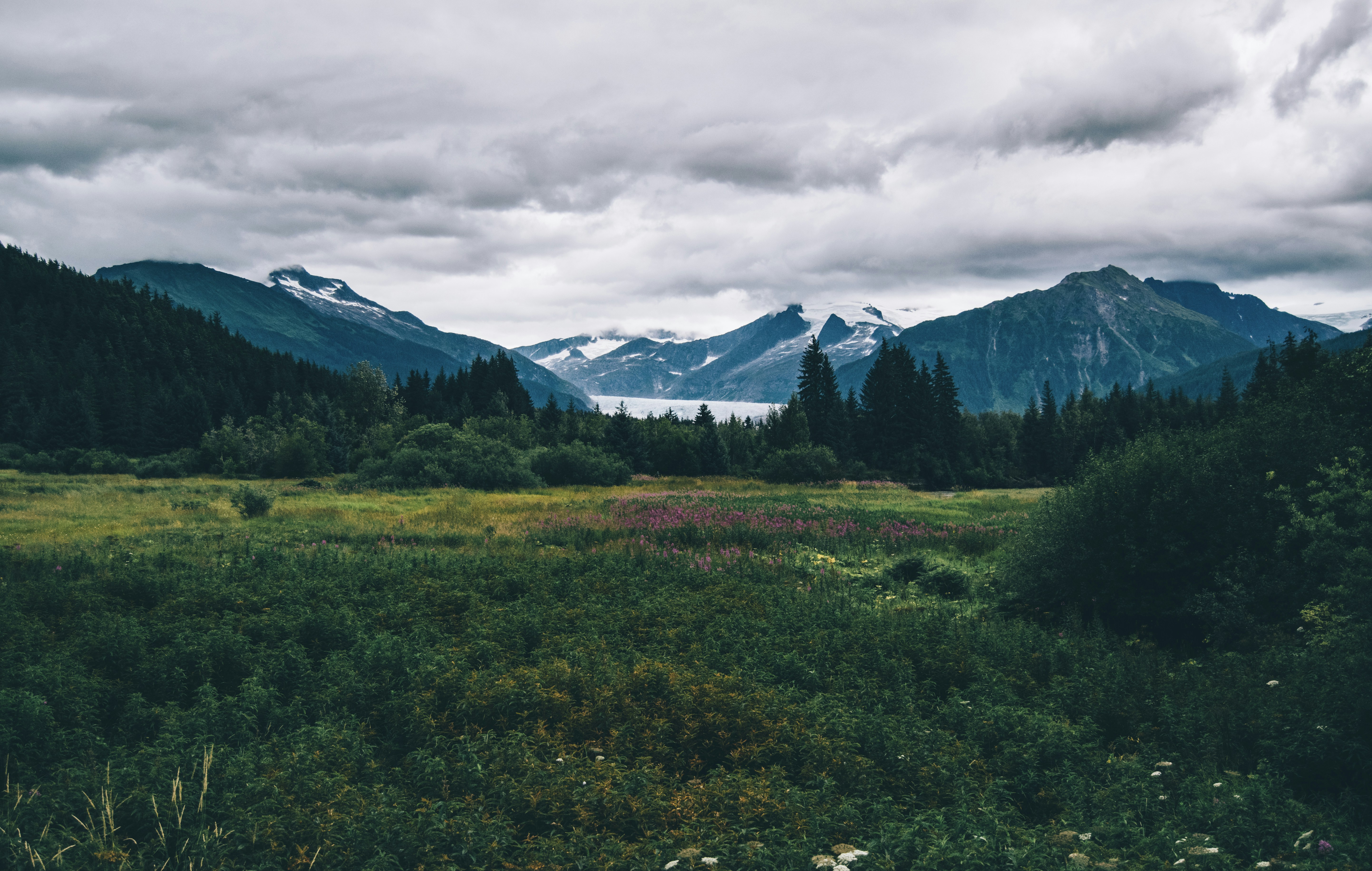 Lush green meadow with wildflowers framed by towering mountains under a cloudy sky.