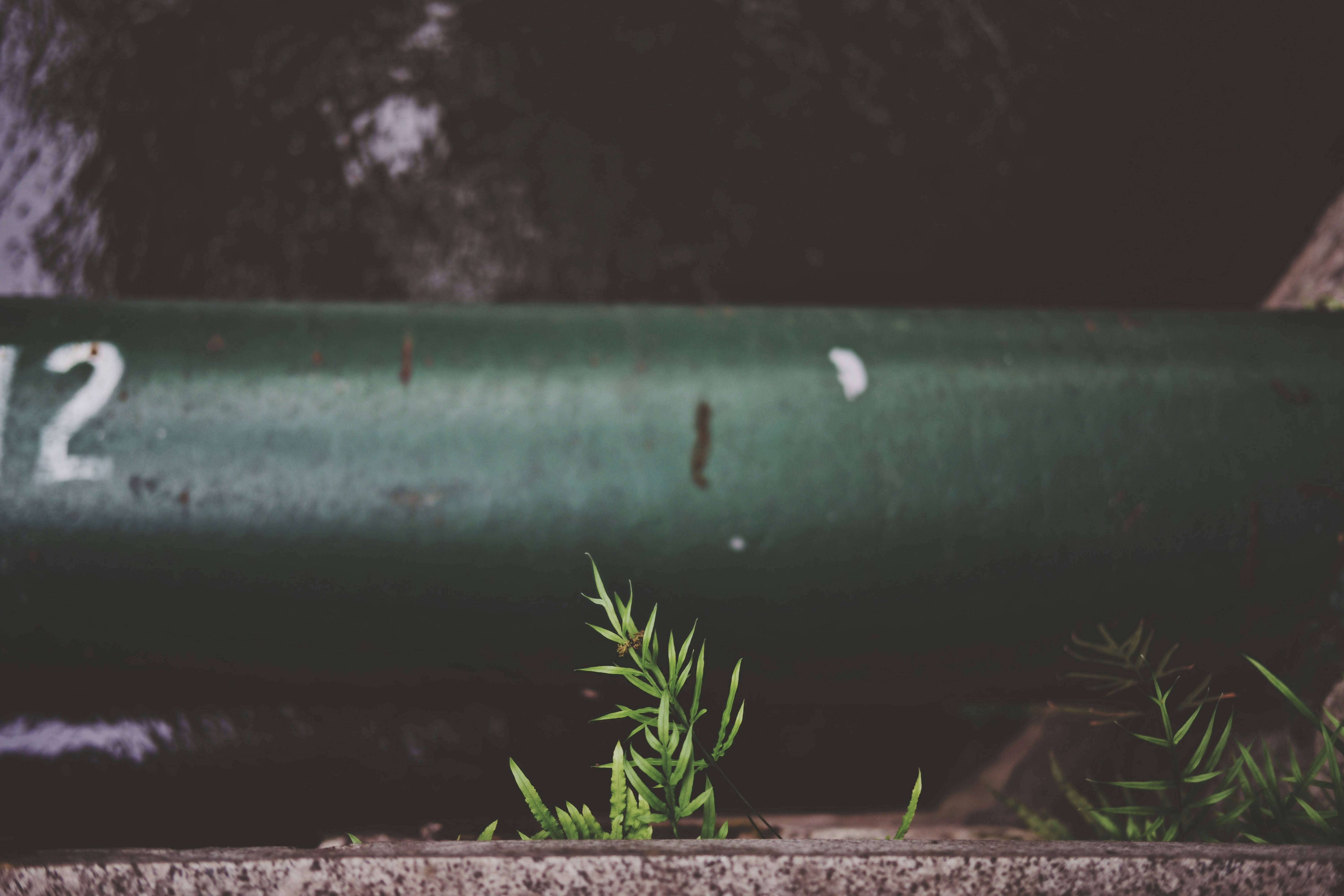 Green metal pipe on brown soil photo – Free Grey Image on Unsplash