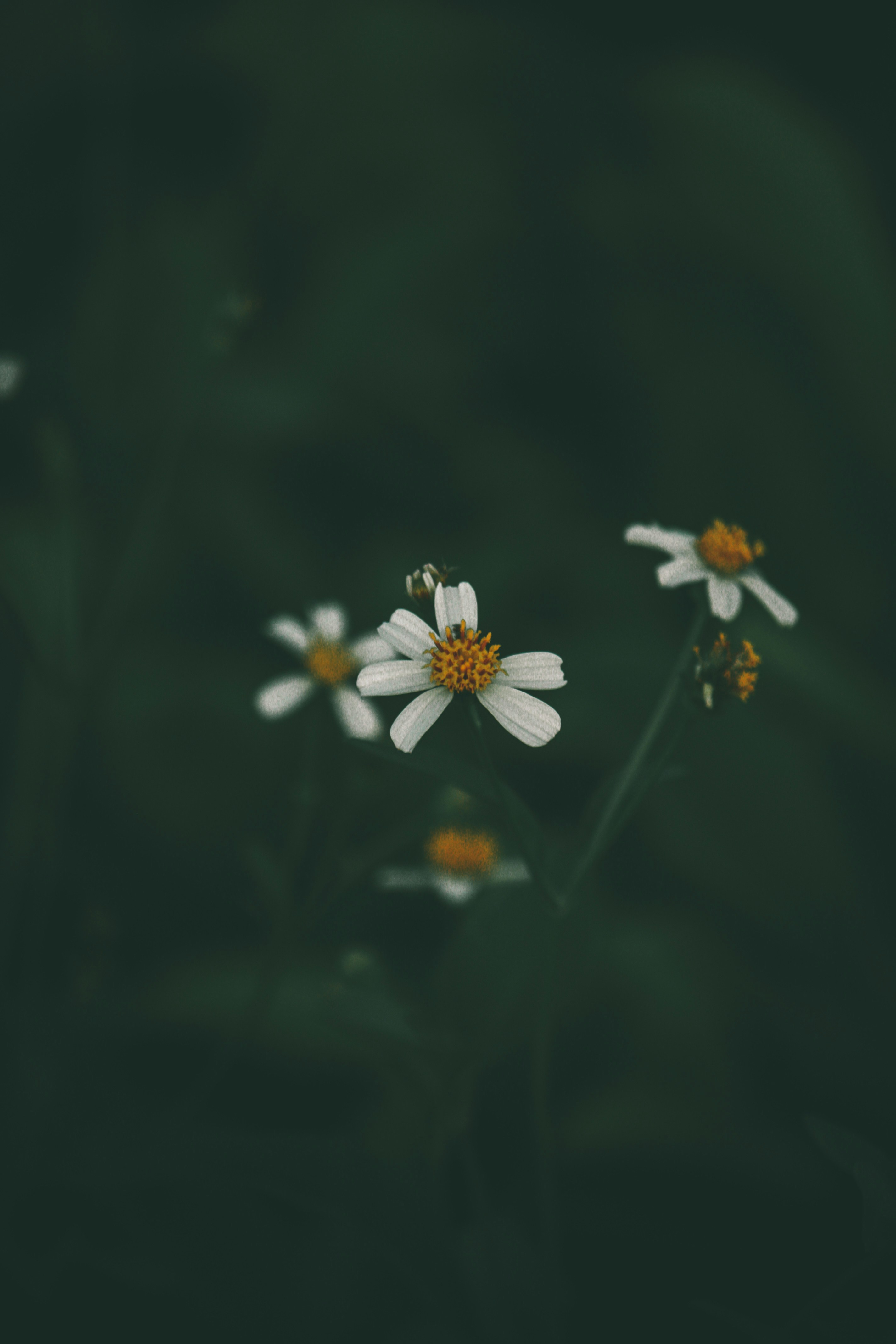 Majeen Munawwaru (@maj33nn) | Unsplash 사진 커뮤니티