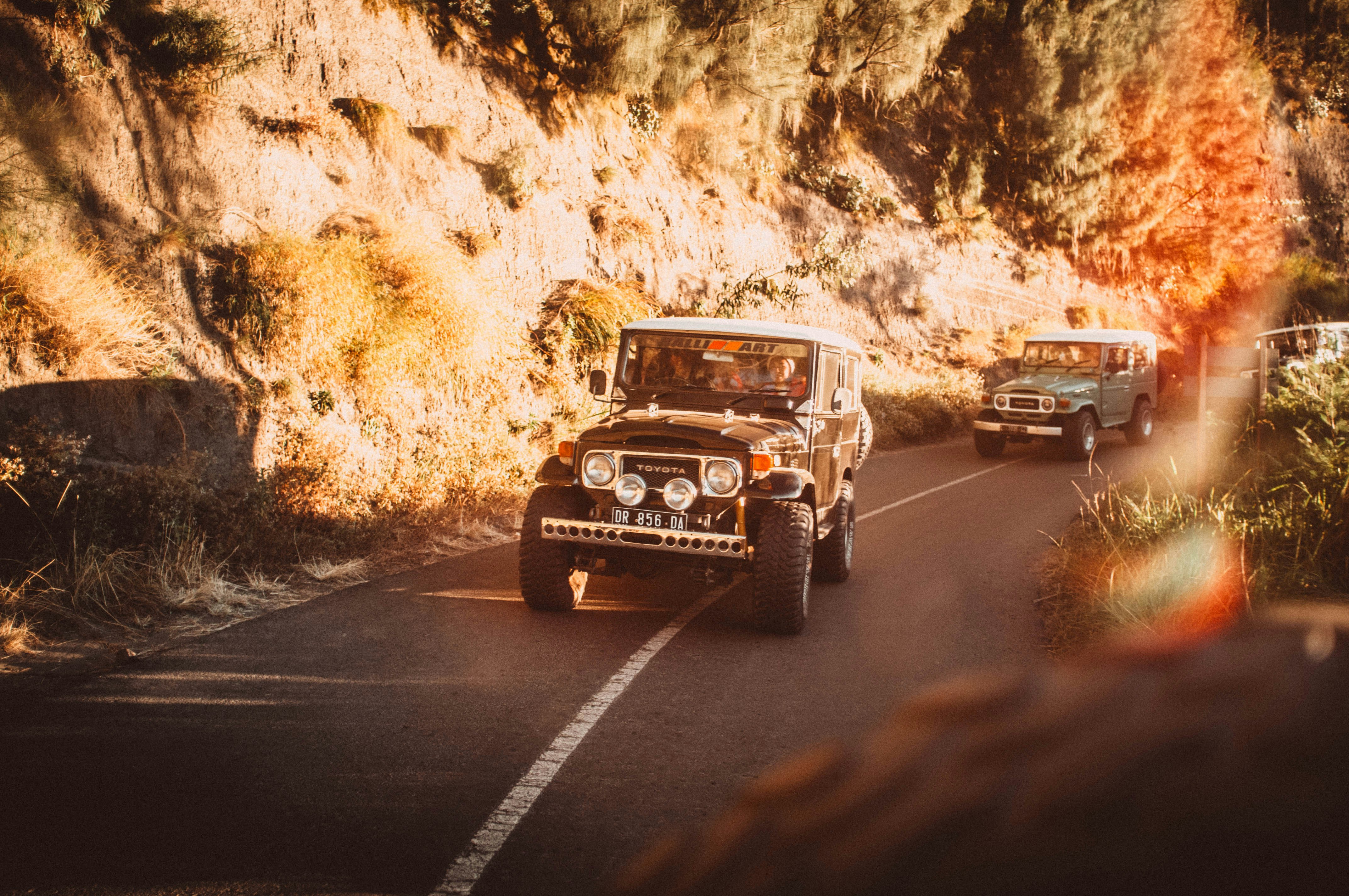 Classic off-road vehicles navigate a sunlit, winding road flanked by rugged cliffs.