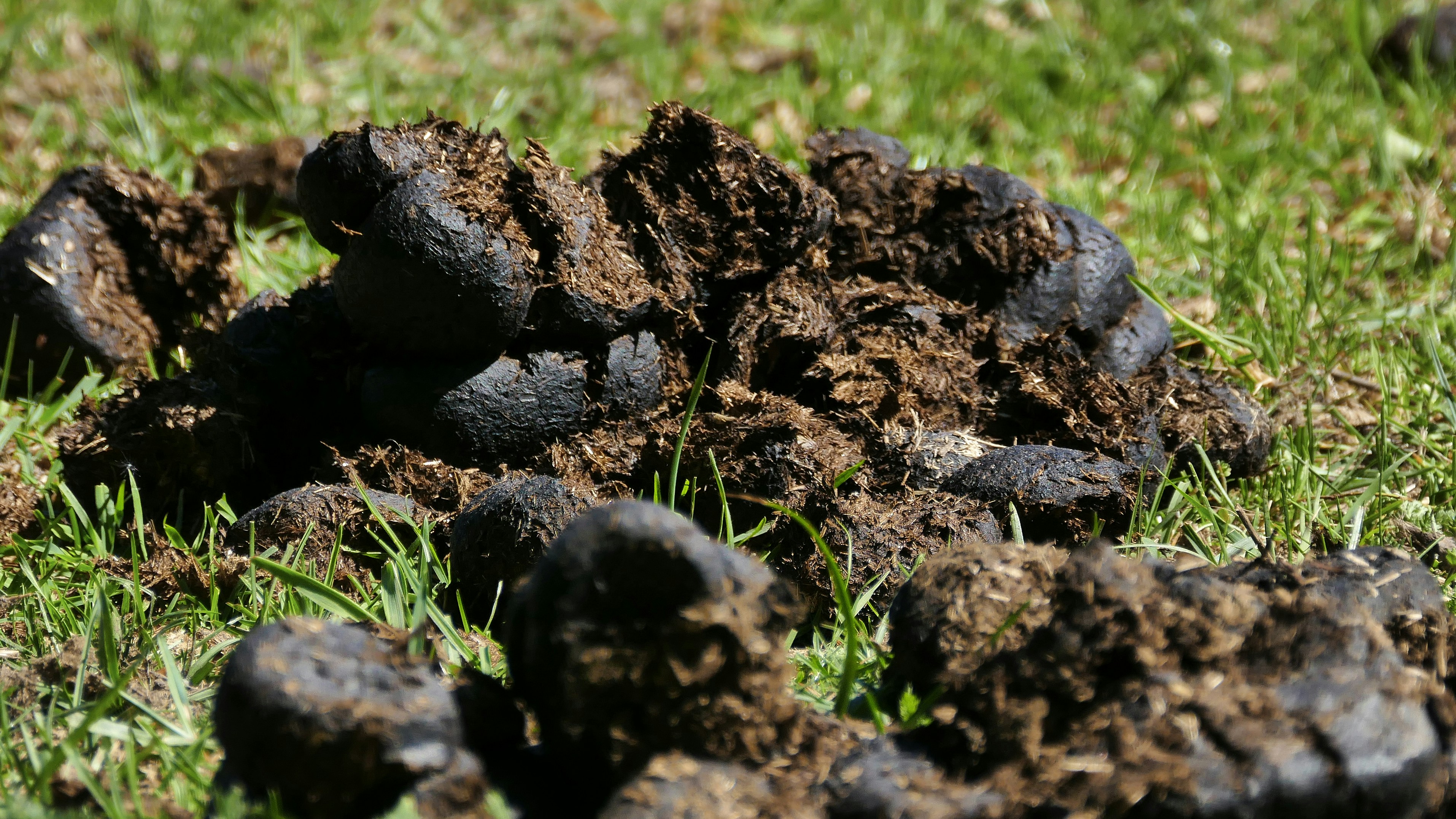 zibik (@zibik) | Unsplash Photo Community