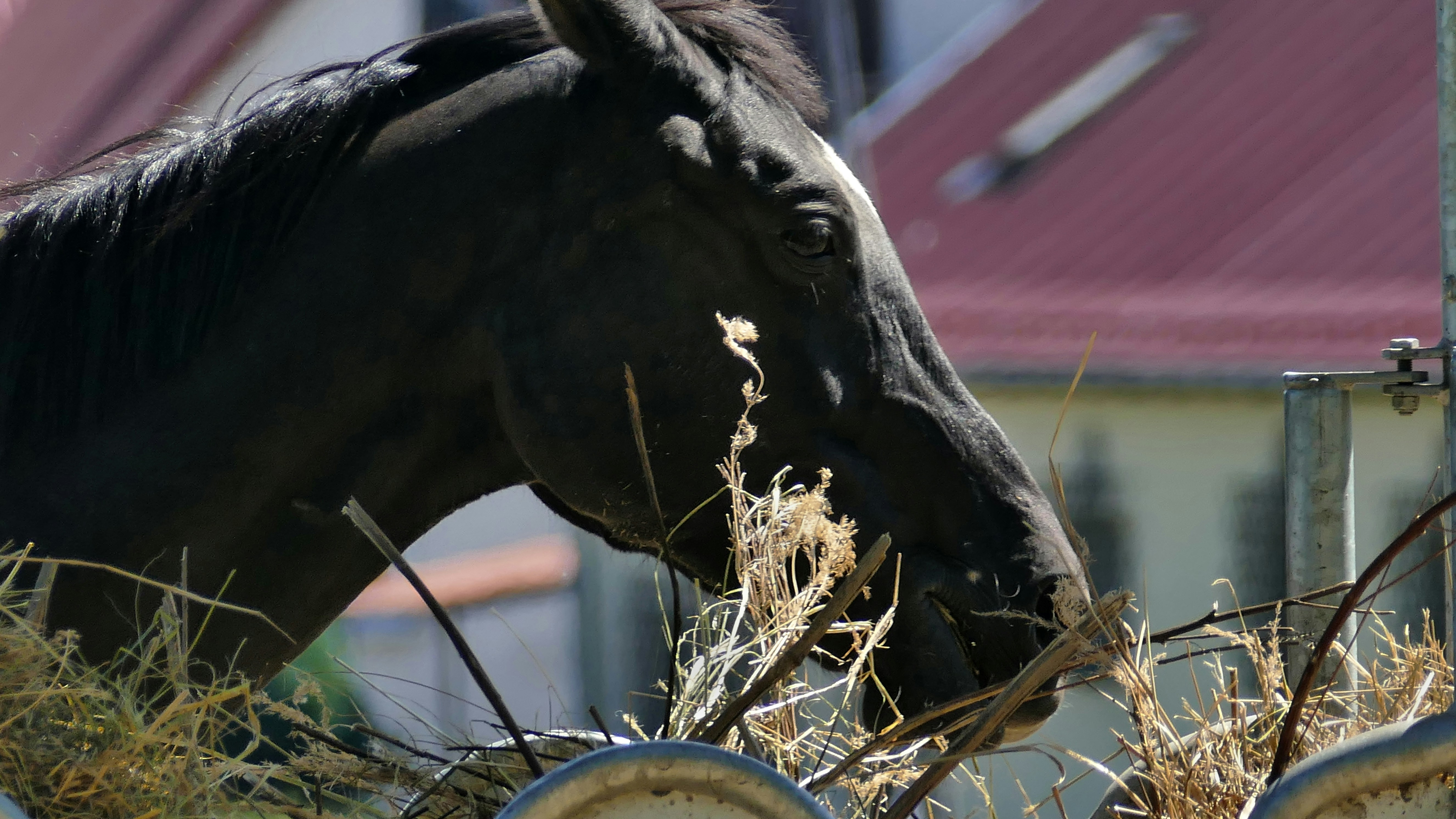 zibik (@zibik) | Unsplash Photo Community