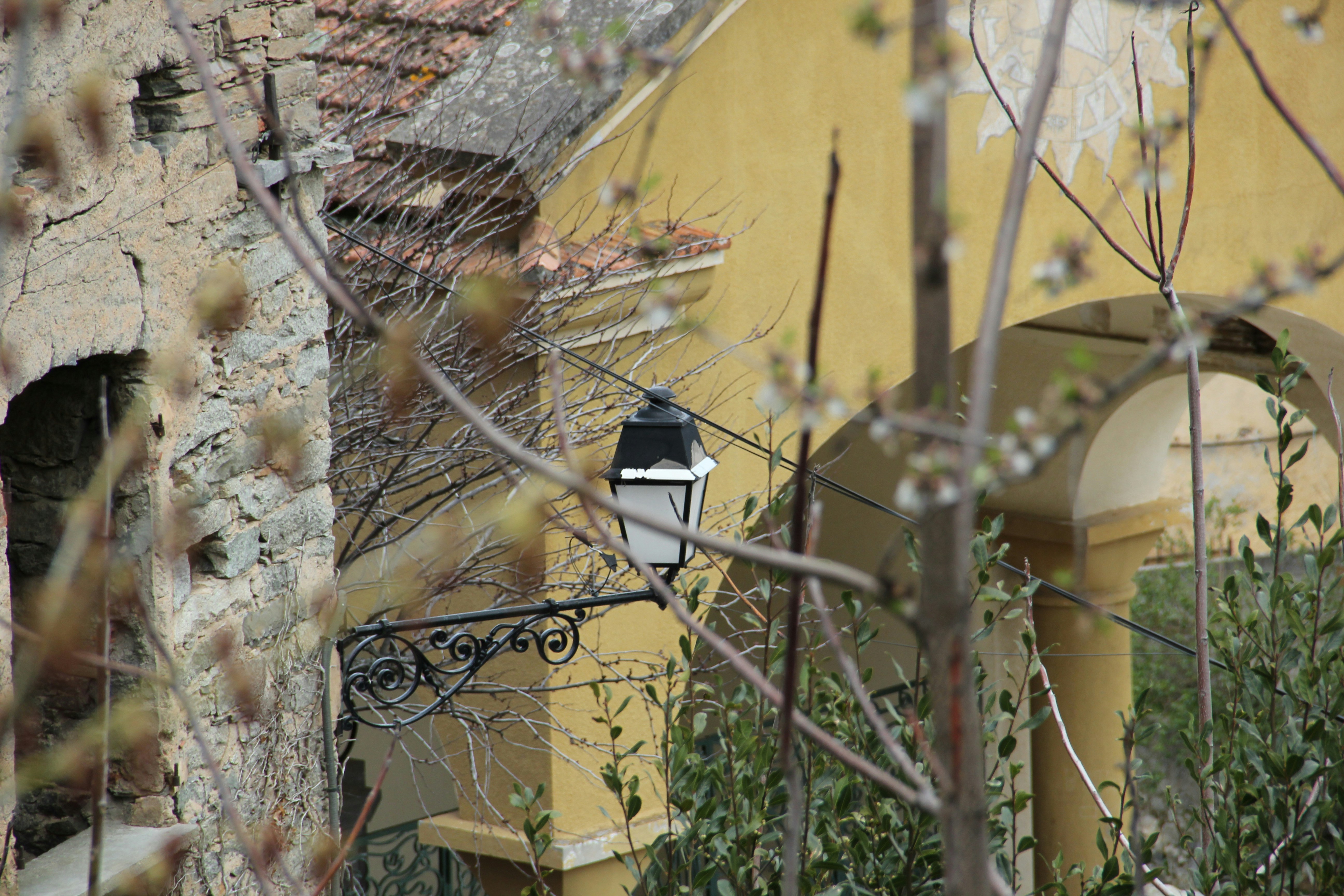 Vintage lantern nestled among budding branches, revealing a glimpse of a weathered building in a tranquil setting.