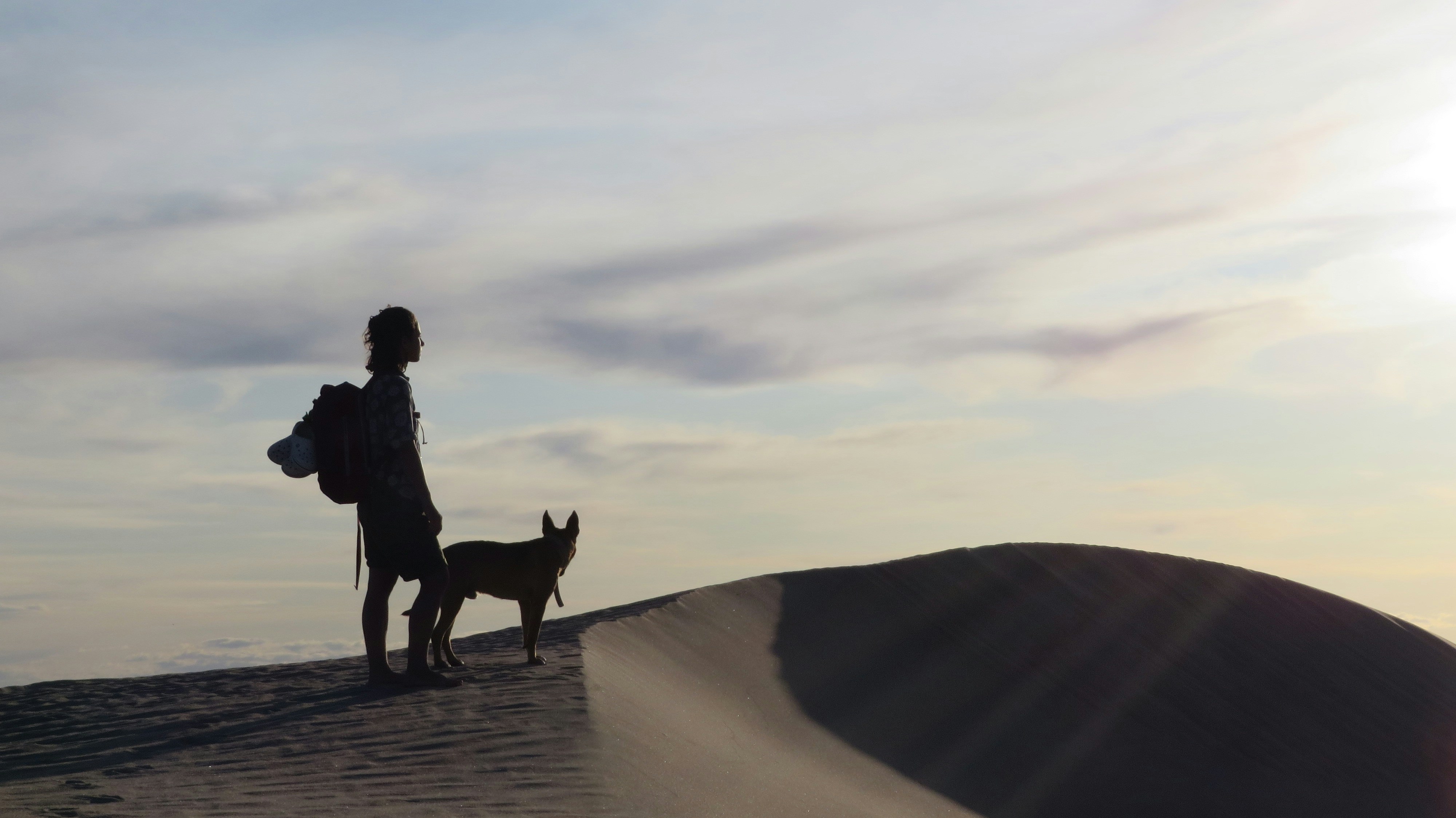 Shadowed Traveler and Canine on a Dune at Dusk