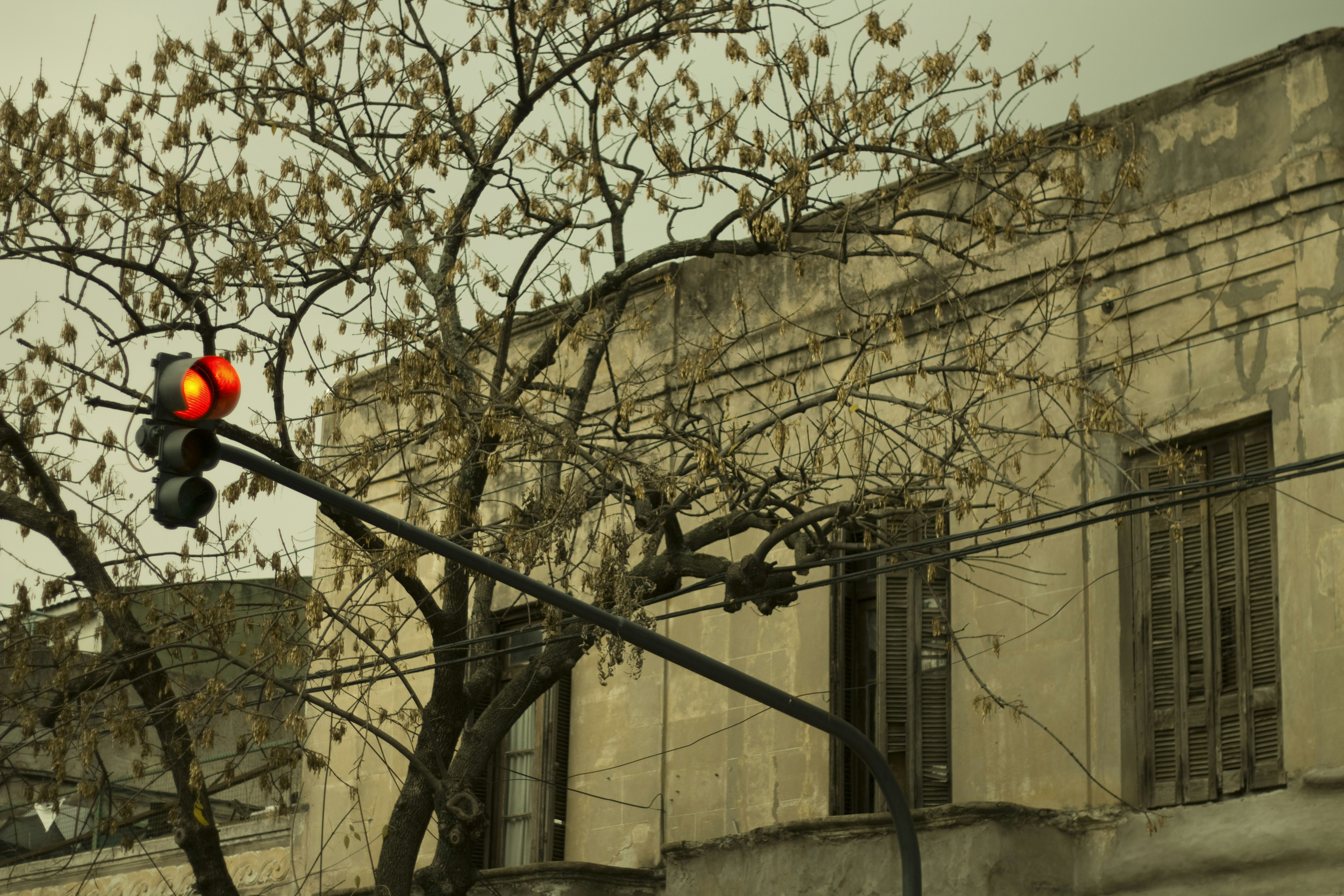 Red traffic light illuminated against a backdrop of a weathered building and bare branches, conveying a sense of stillness in an urban environment.