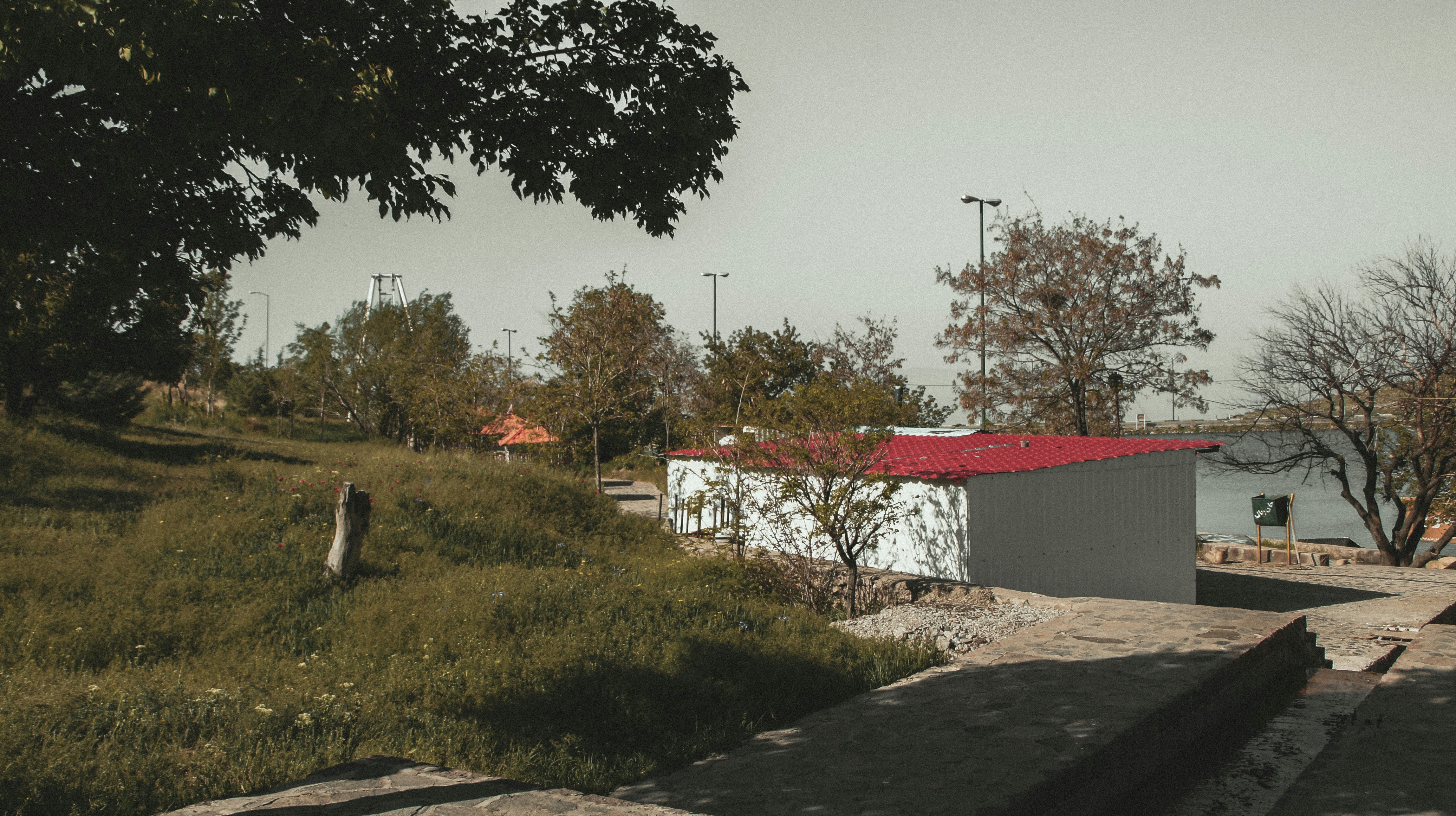 Tenna Pfp Pictures | Download Free Images on Unsplash