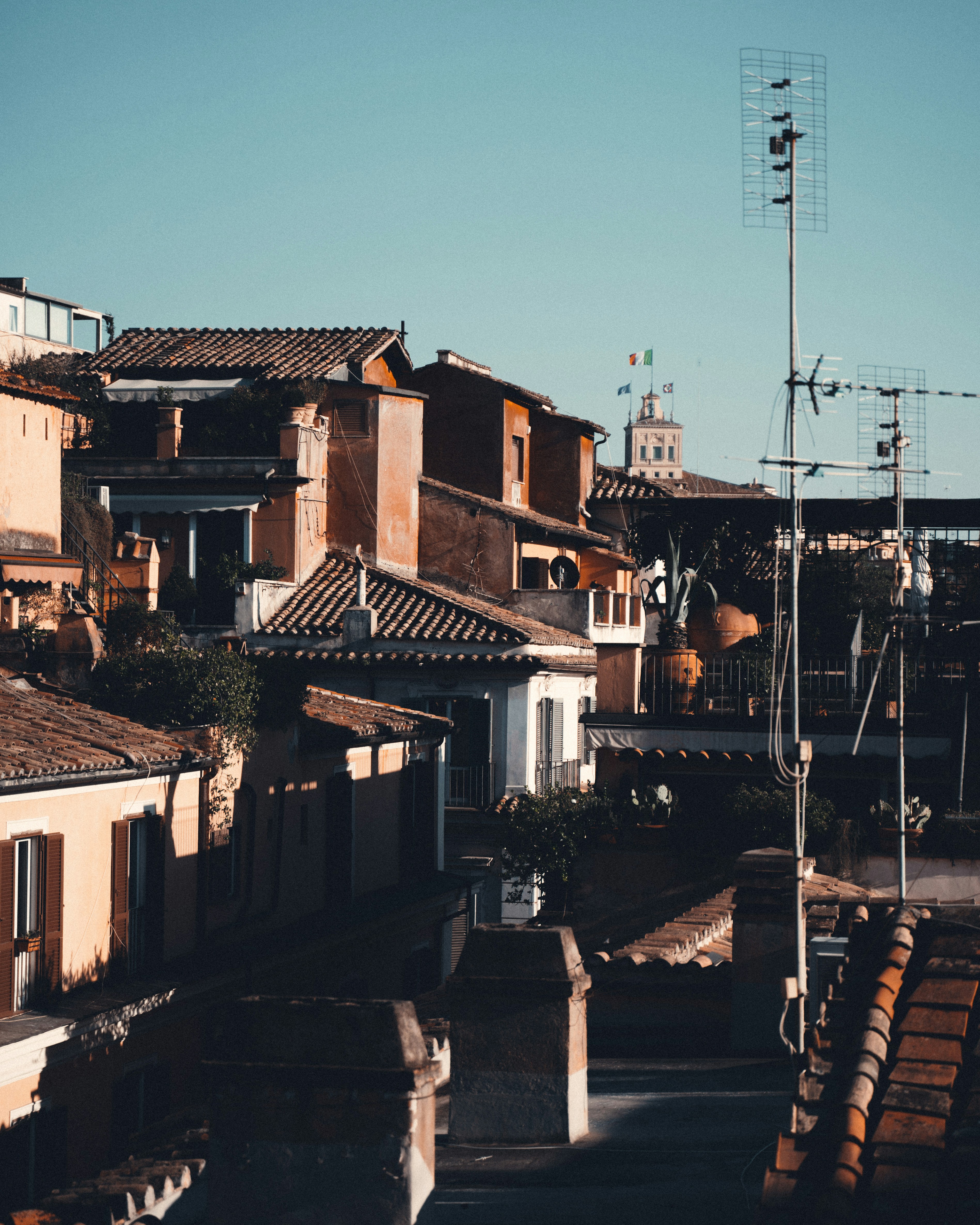 Charming urban rooftops adorned with terracotta tiles and greenery, set against a clear blue sky.