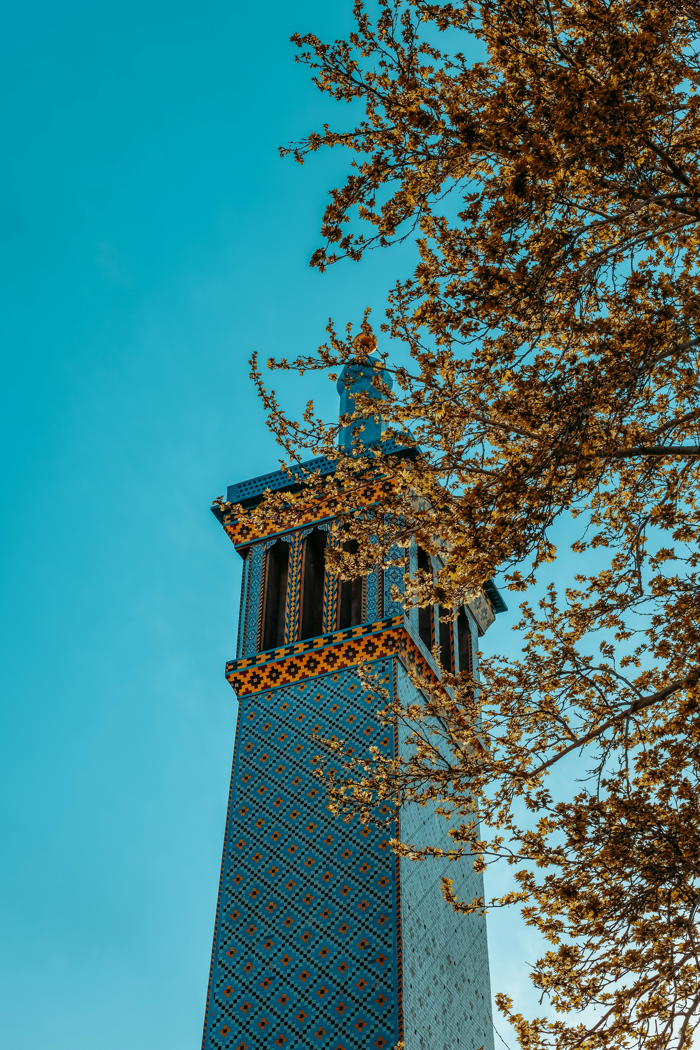 The Minaret of "Shams-ol-Emareh"