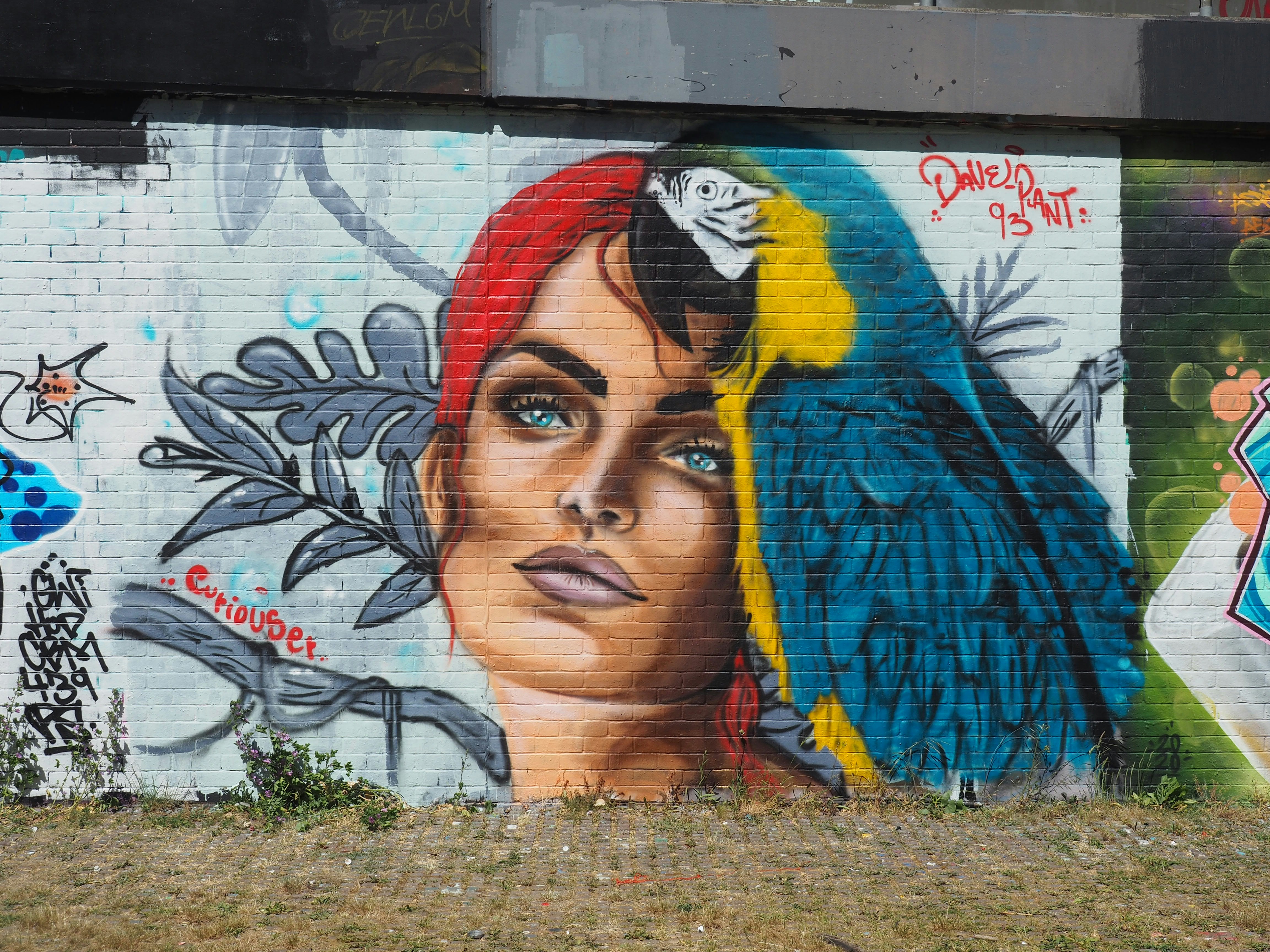 Parrot Portrait: A Woman’s Gaze with a Blue Parrot Across Graffiti Canvas
