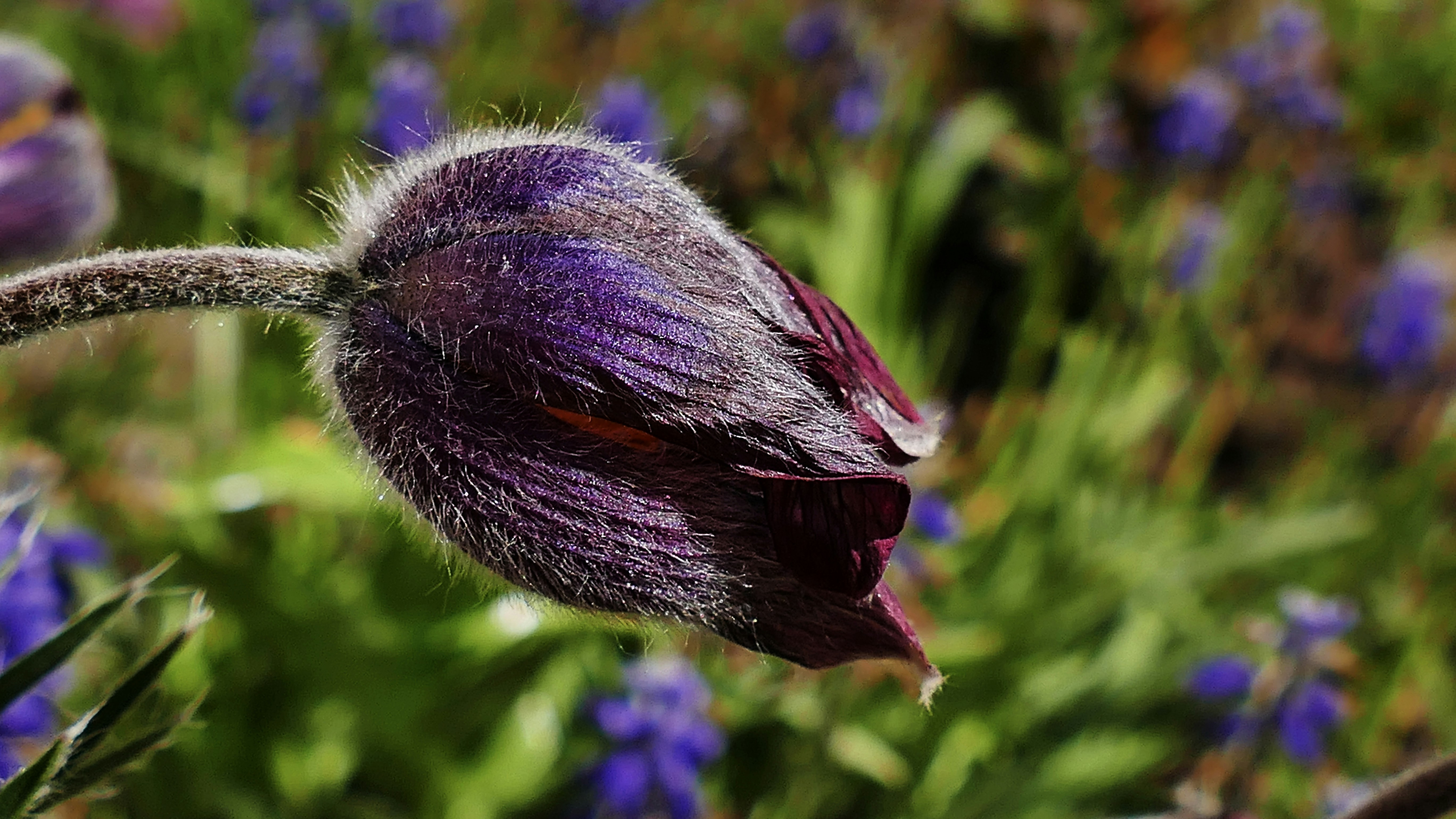 zibik (@zibik) | Unsplash Photo Community
