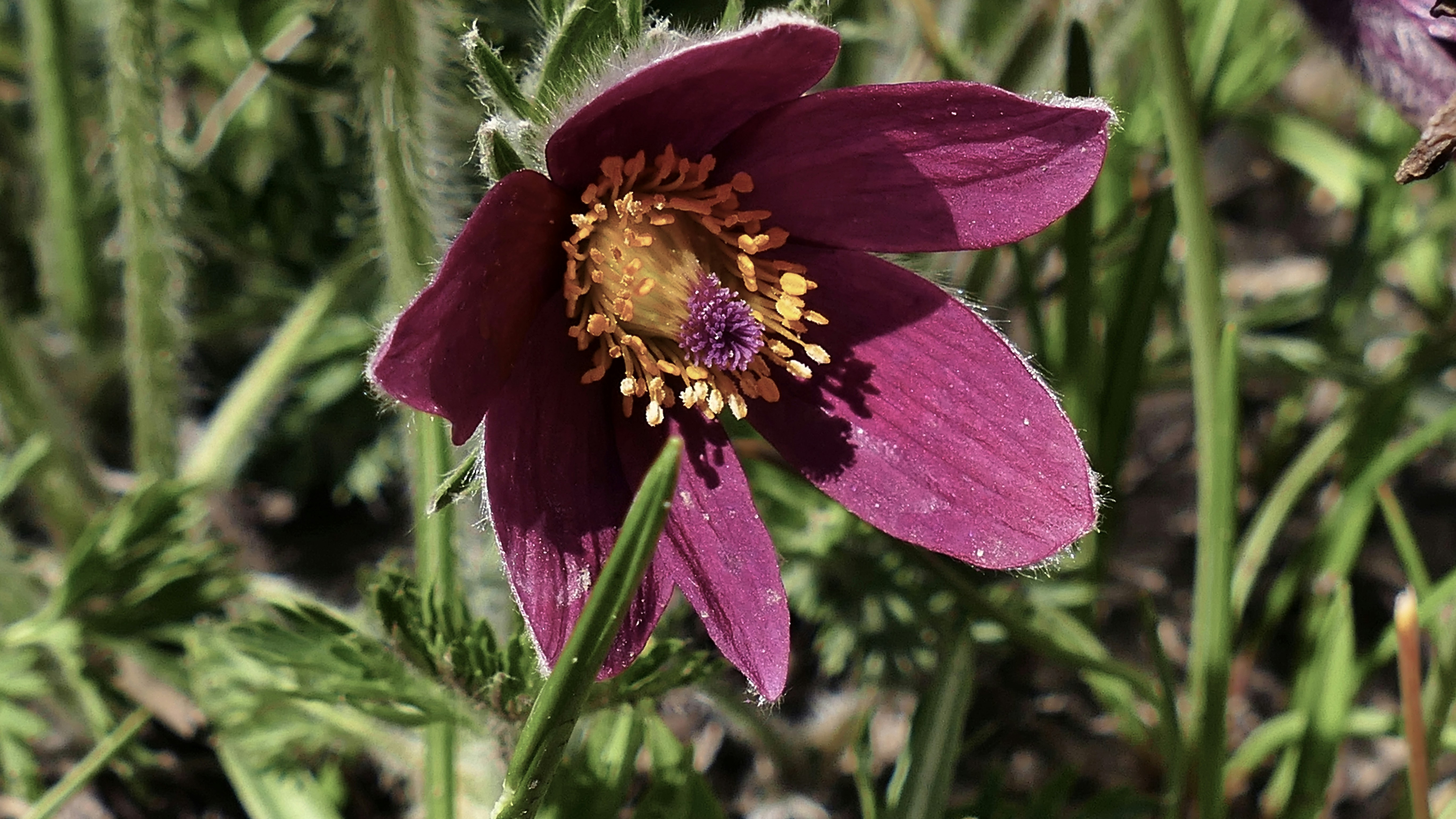 zibik (@zibik) | Unsplash Photo Community