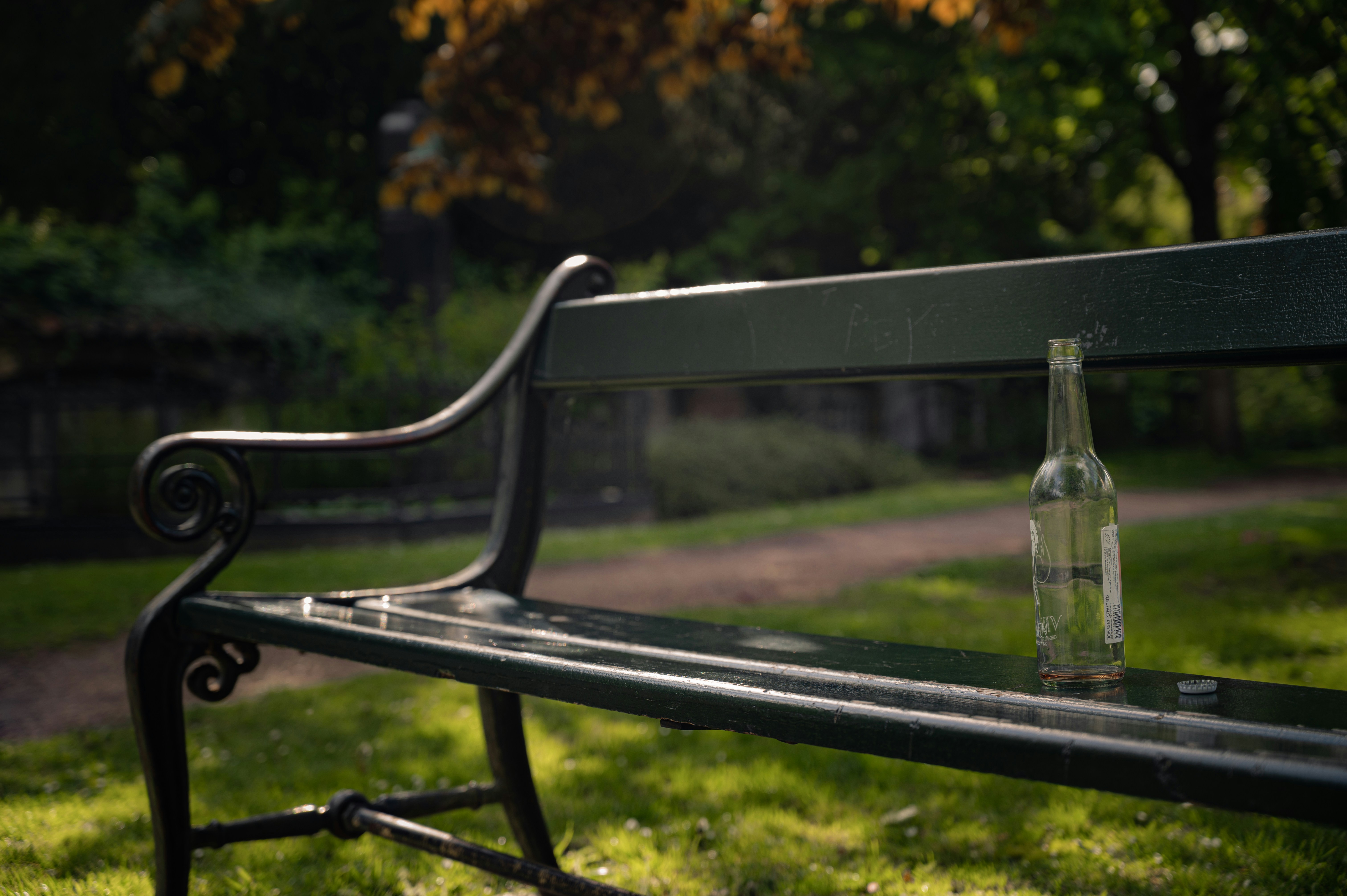 Silent Picnic: A lone bottle on a sunlit park bench