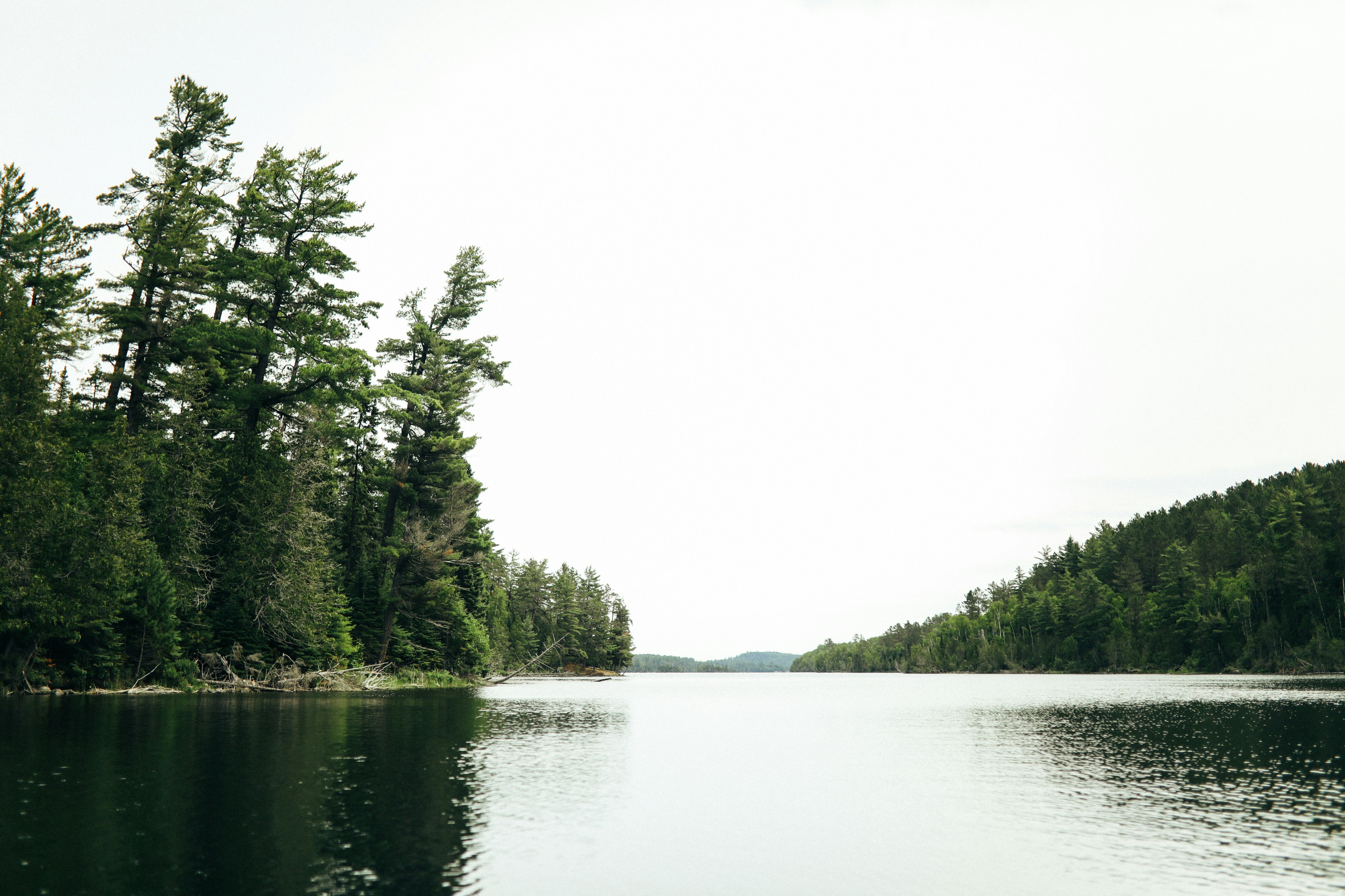 Green trees beside lake during daytime photo – Free Bwca Image on Unsplash