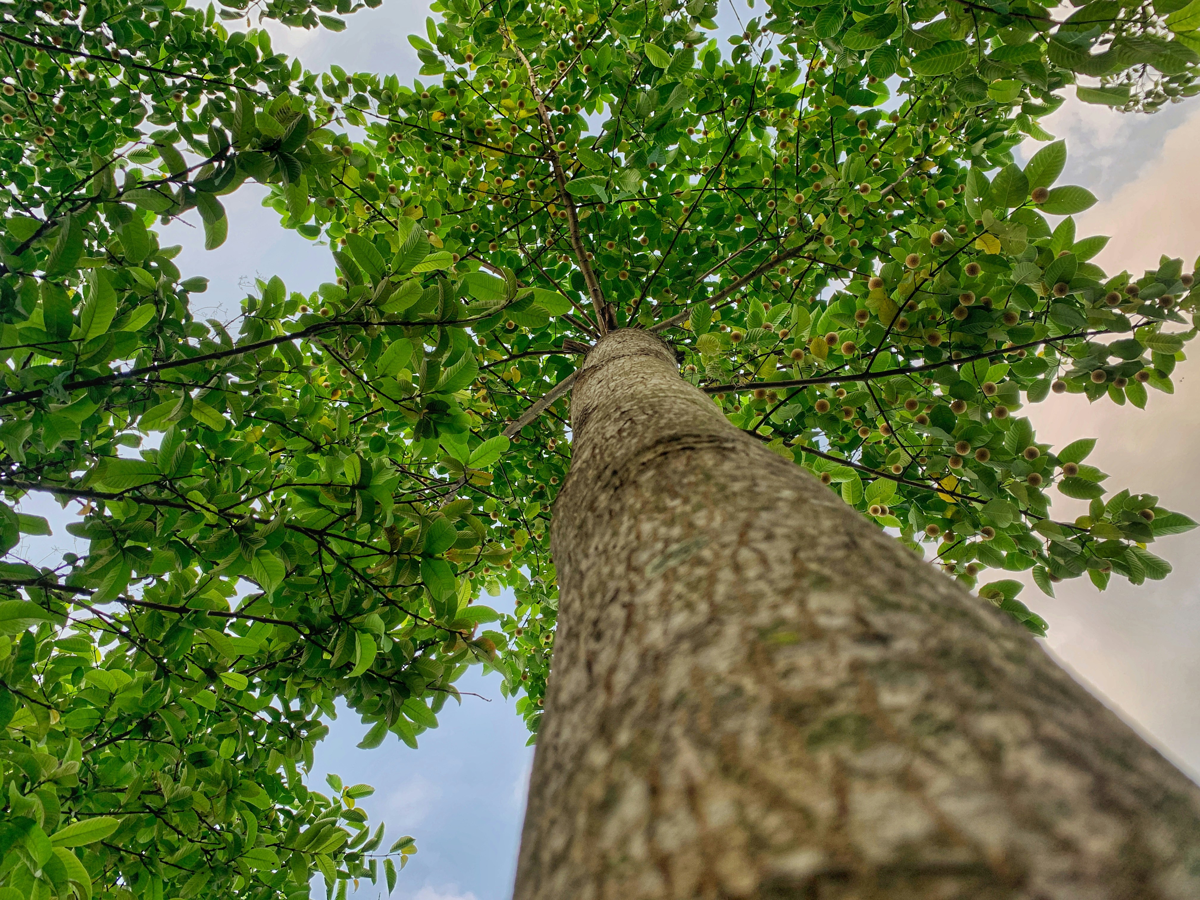 Abdus Sabur Dewan (@abdus_sabur_dewan) | Unsplash Photo Community