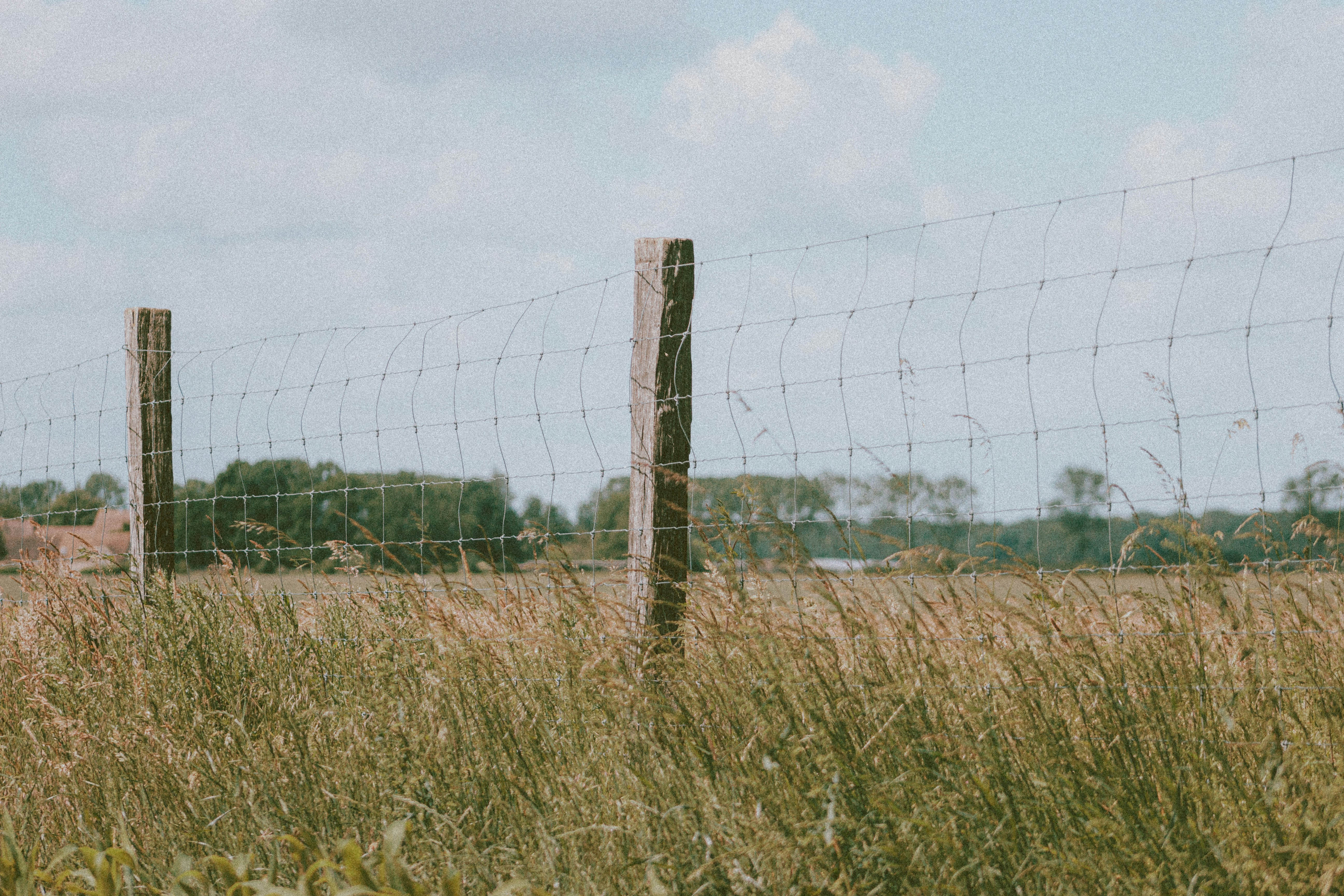 Weathered wooden fence posts stand amidst tall grass, marking the edge of a serene countryside landscape.