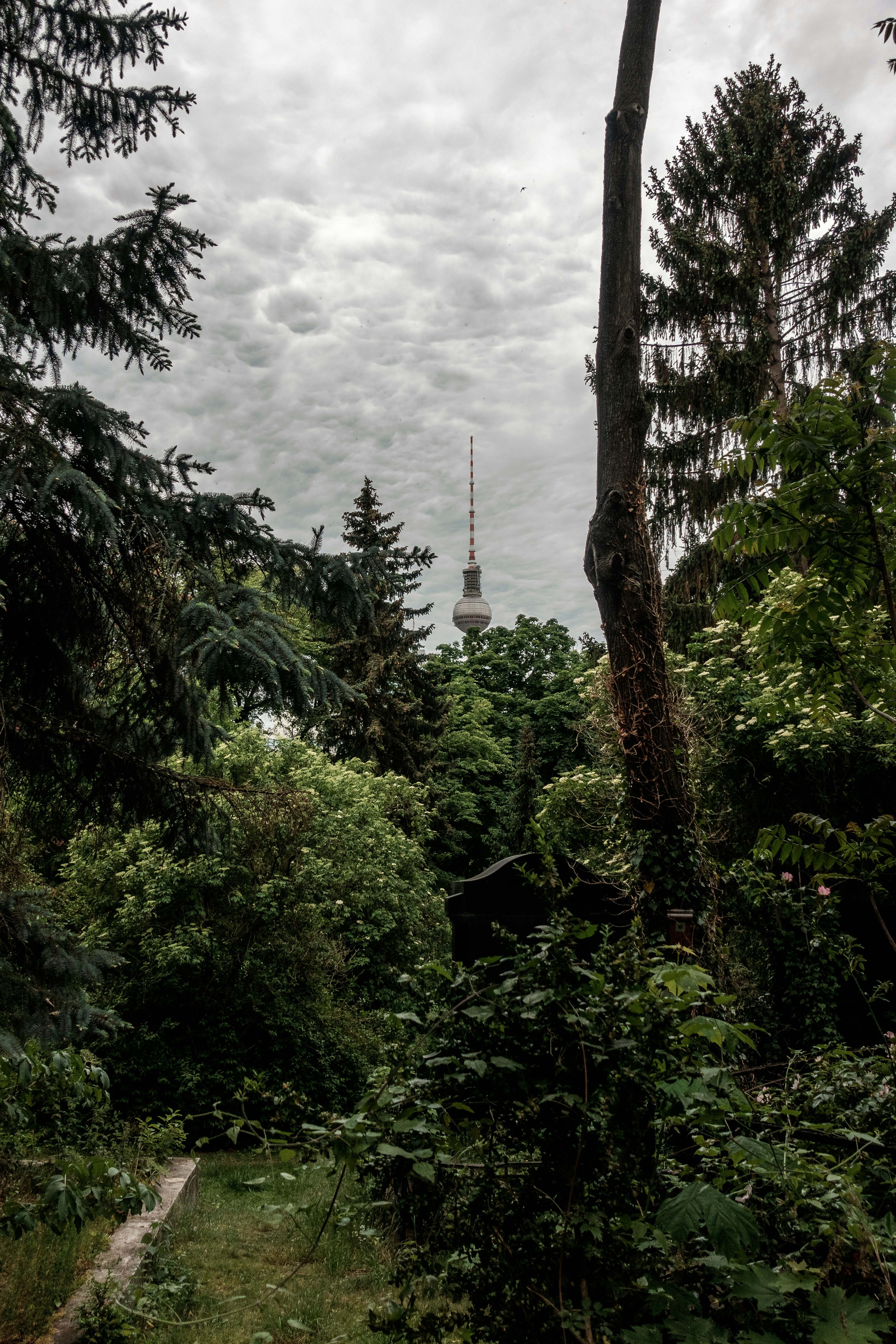 Emergent Skyline: City Spire Breaking Through a Lush Garden Canopy