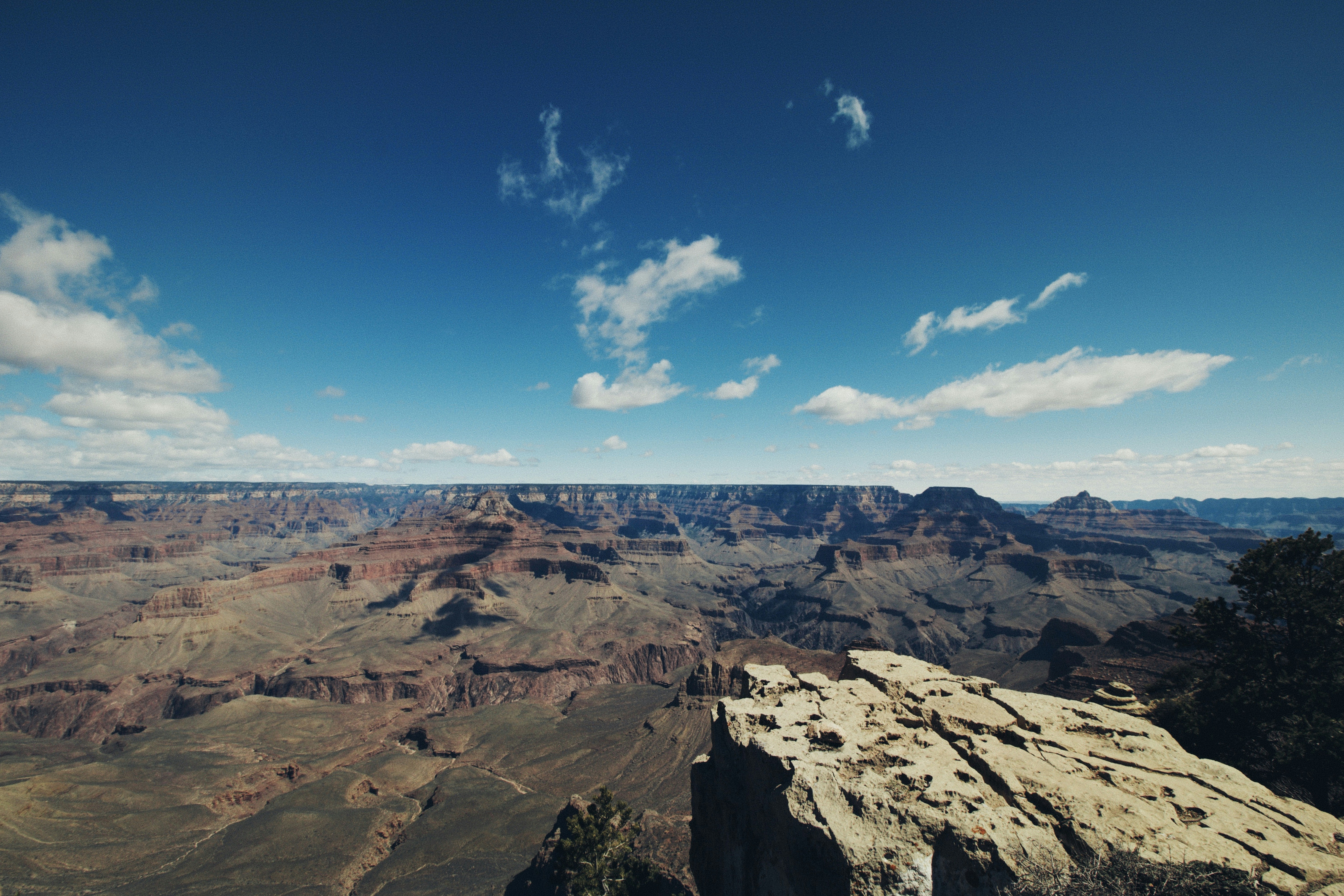 Rimside Solace: Sunlit ledge above a vast, layered canyon under a clear blue sky