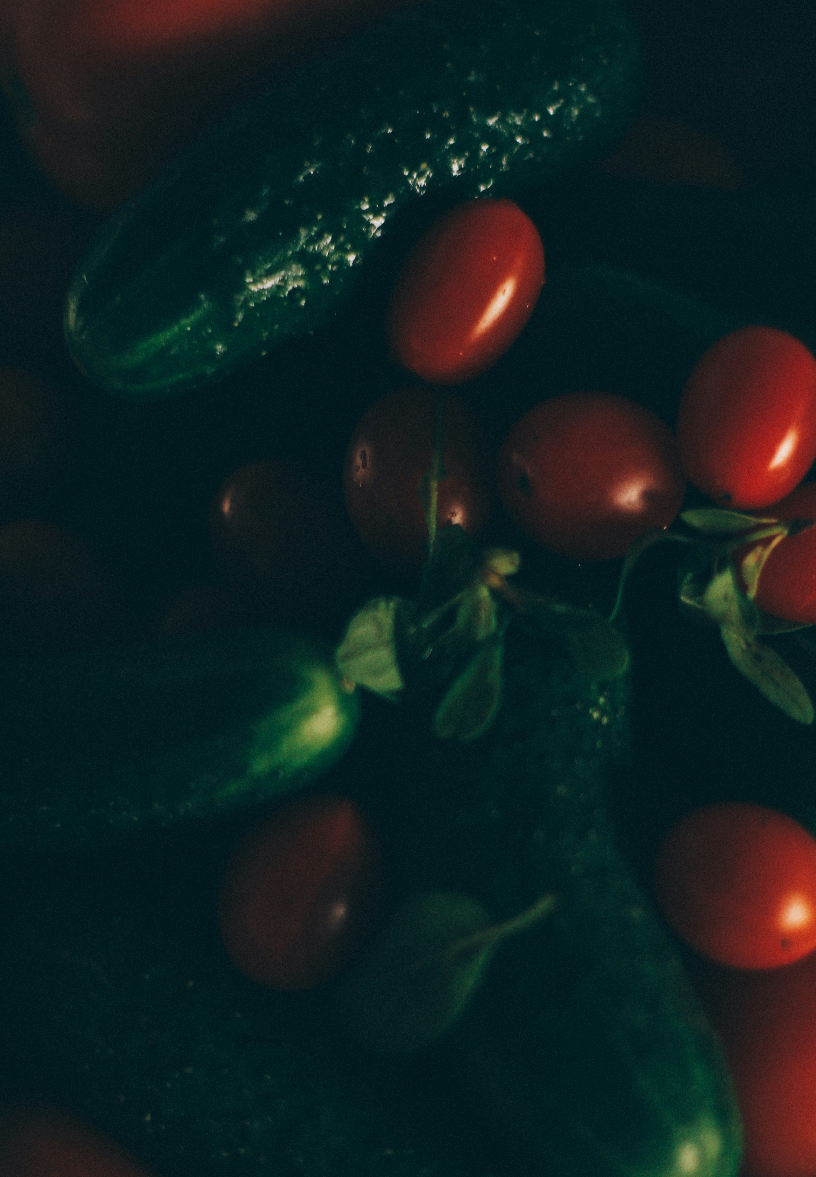 Ruby Berries among Dark Greens