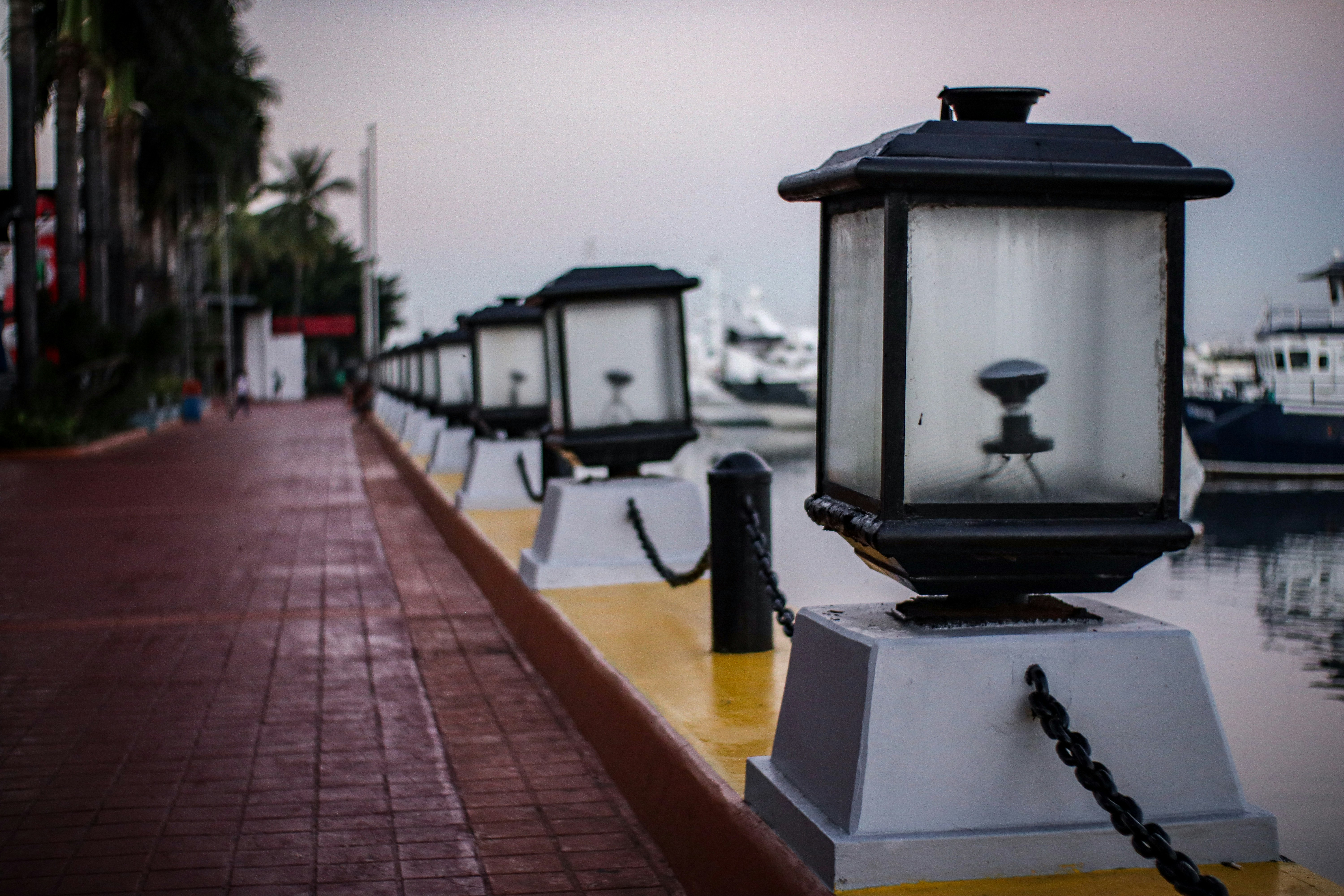 Lantern Line along the Marina Promenade at Twilight