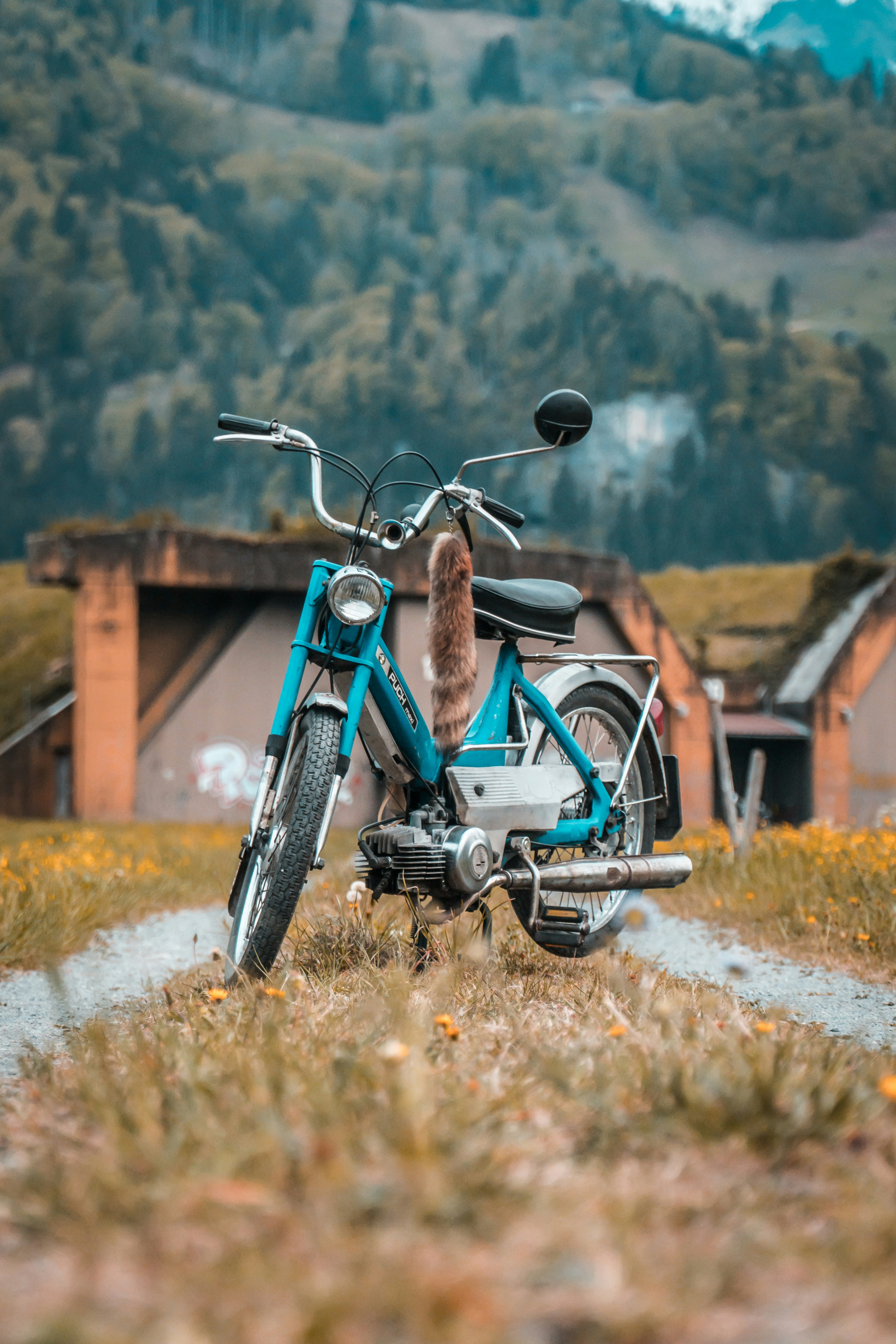 Blue and black bicycle on brown grass field during daytime photo – Free ...