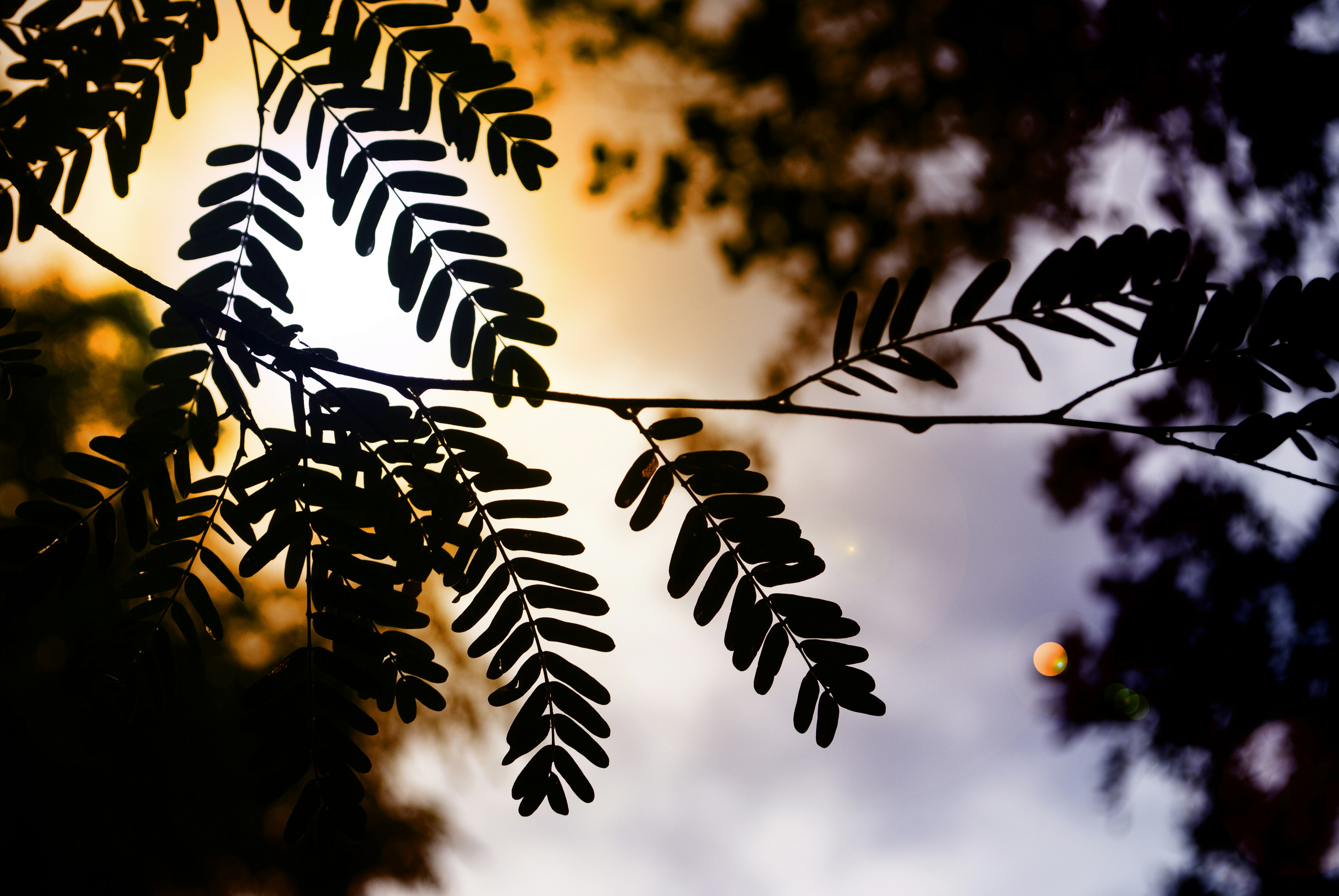 Suryansh Agrawal (@suryansh04) | Unsplash Photo Community