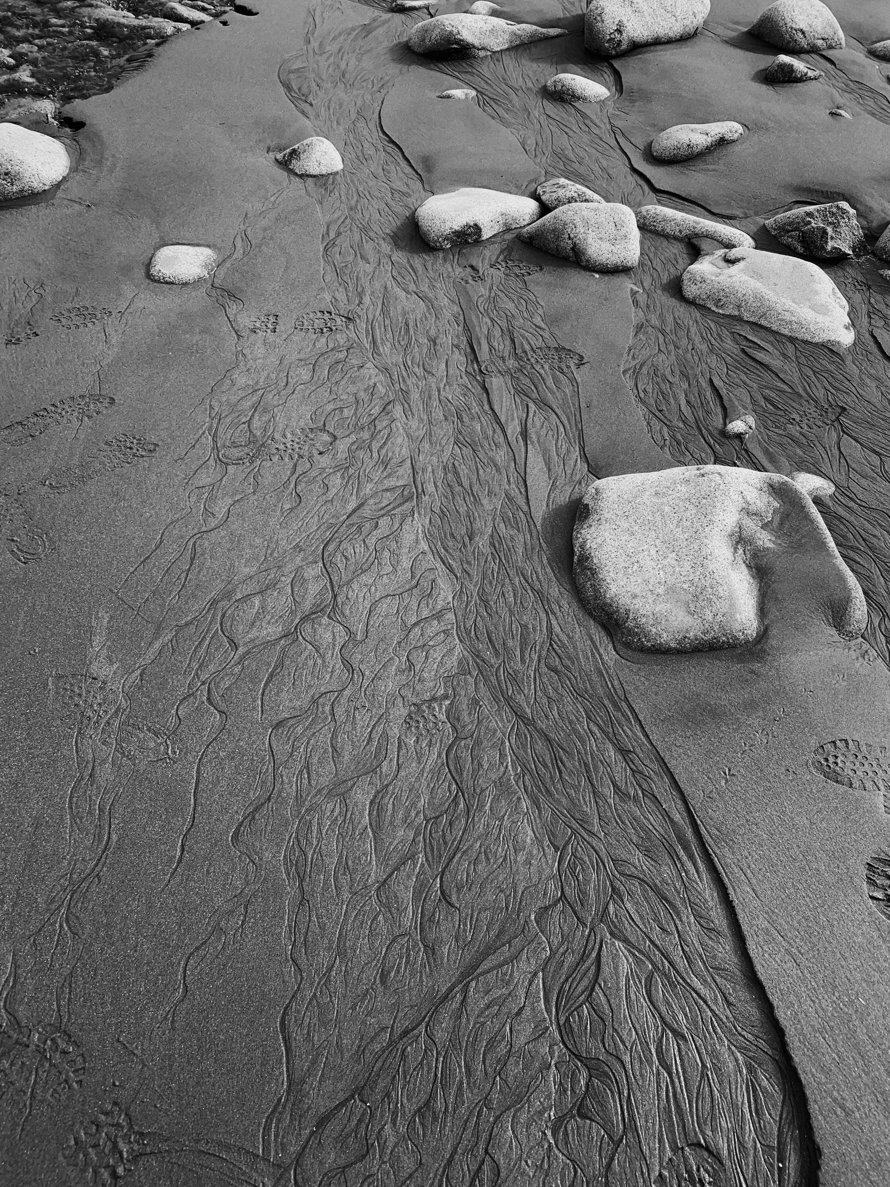 Lyudmila Khmelevskaya (@dont_amy) | Unsplash Photo Community