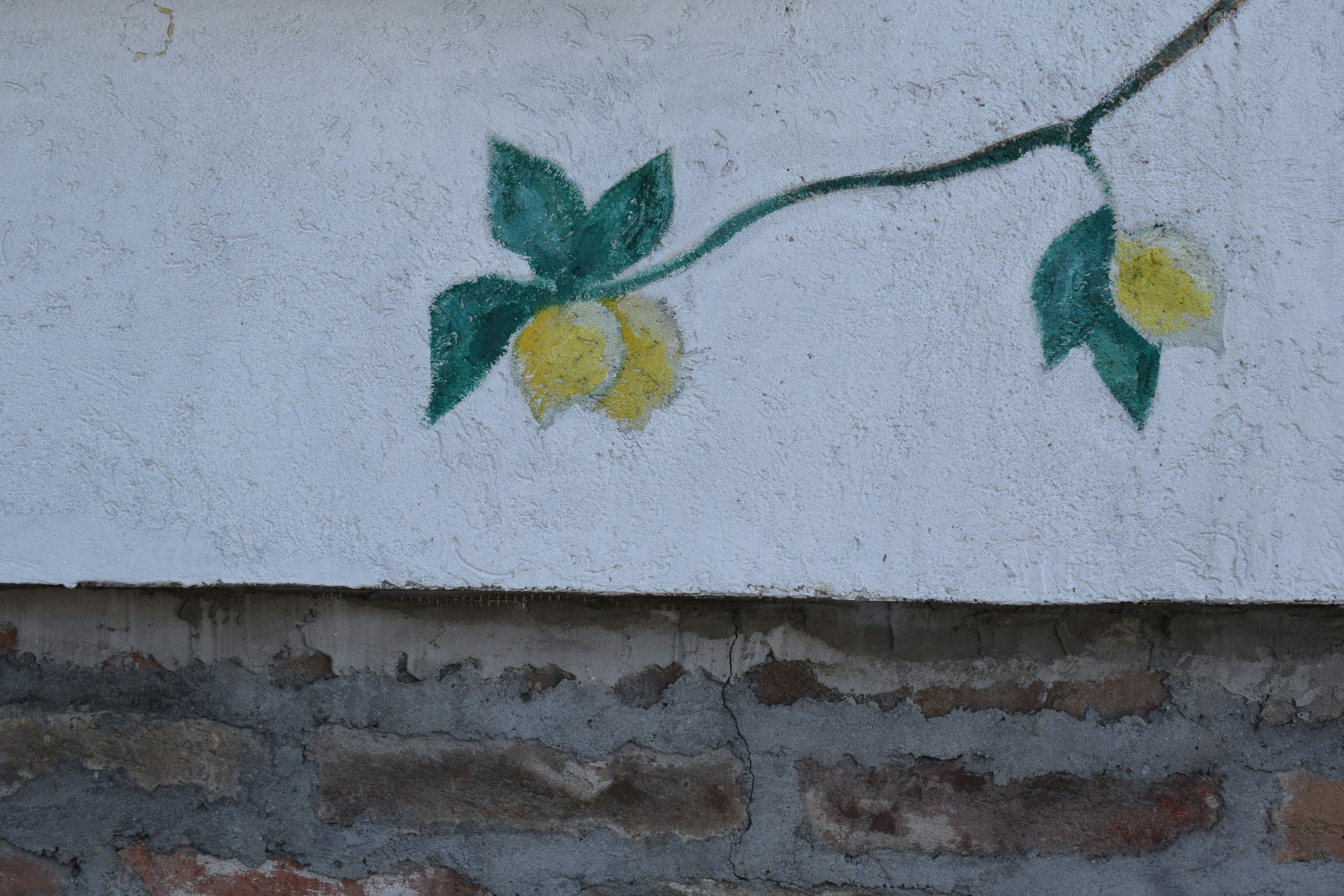 A solitary yellow blossom drapes along a weathered wall mural