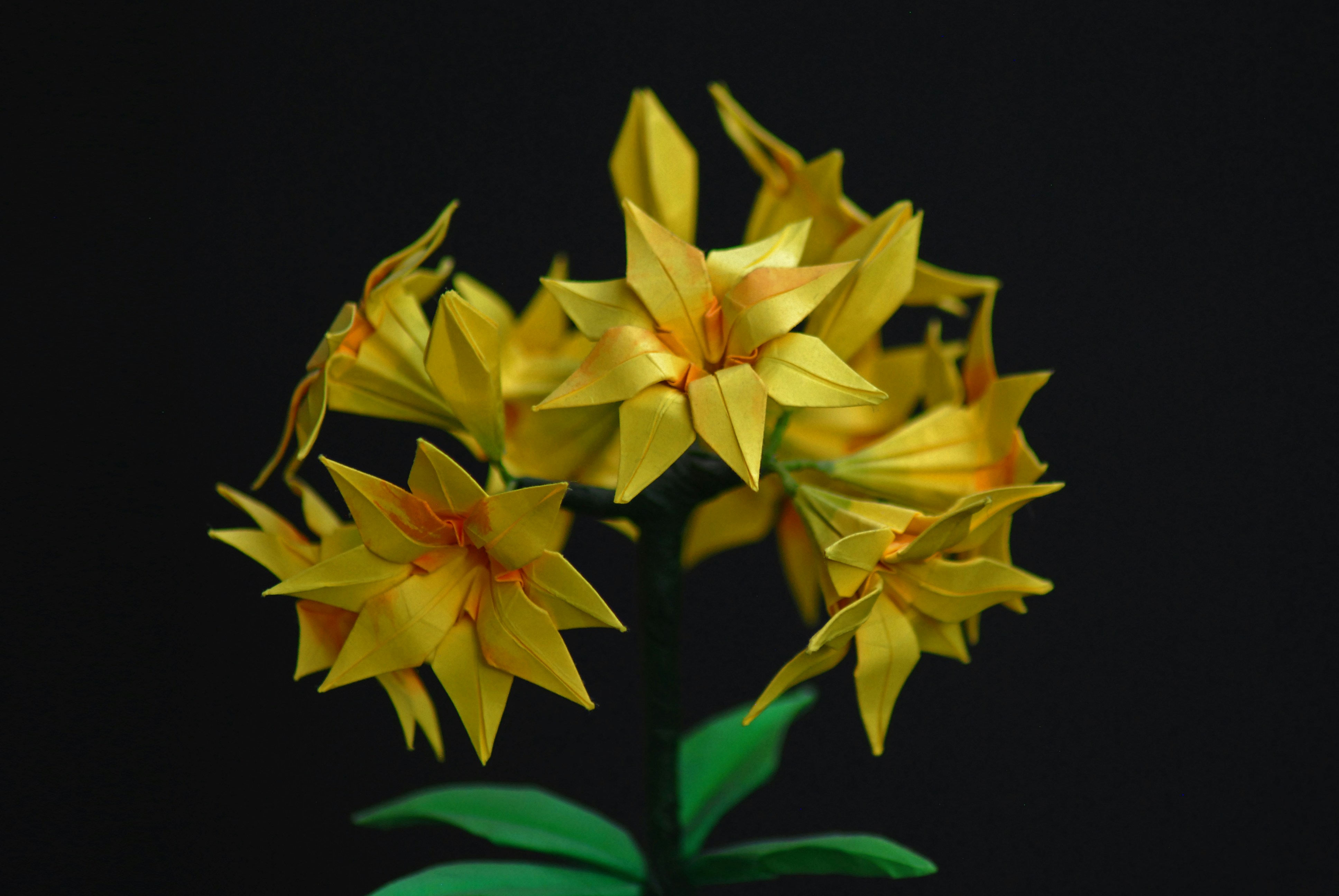 Sunlit Origami Blossoms: A Cluster of Yellow Stars Against Velvet Night