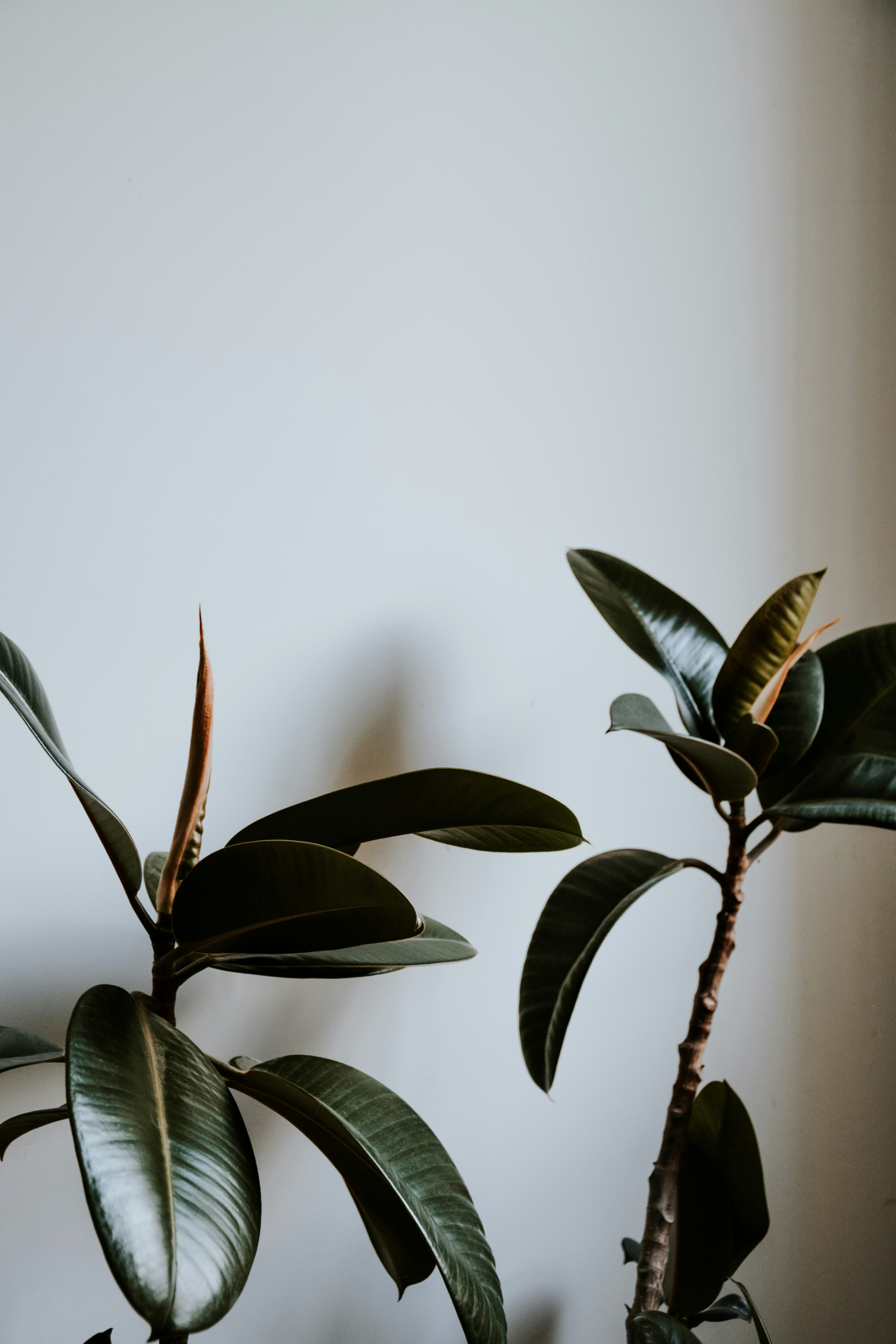 Daniela Elsini (@daniela_elsini) | Komunitas Foto Unsplash