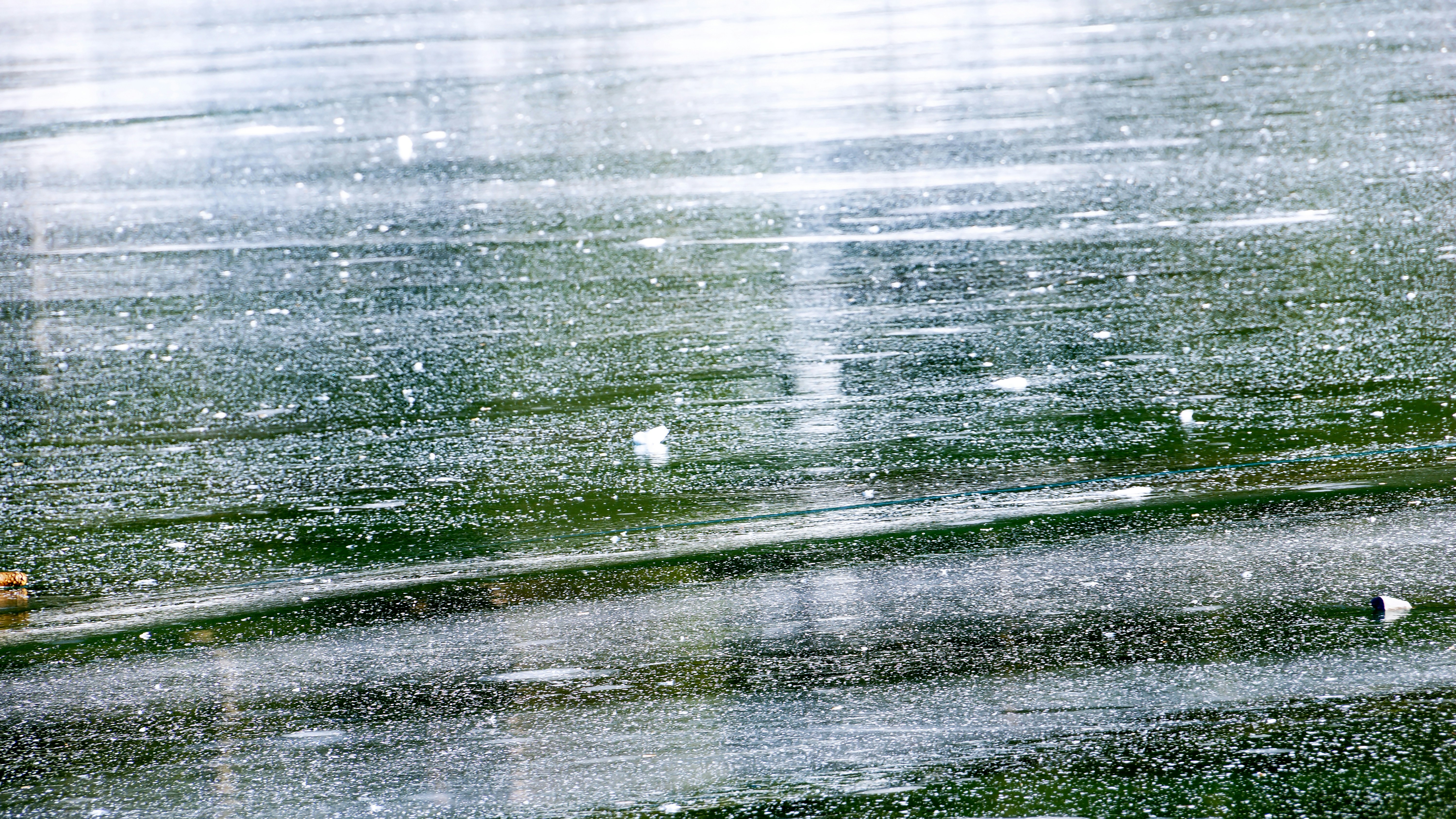 Water droplets create intricate patterns on a wet surface under soft lighting.