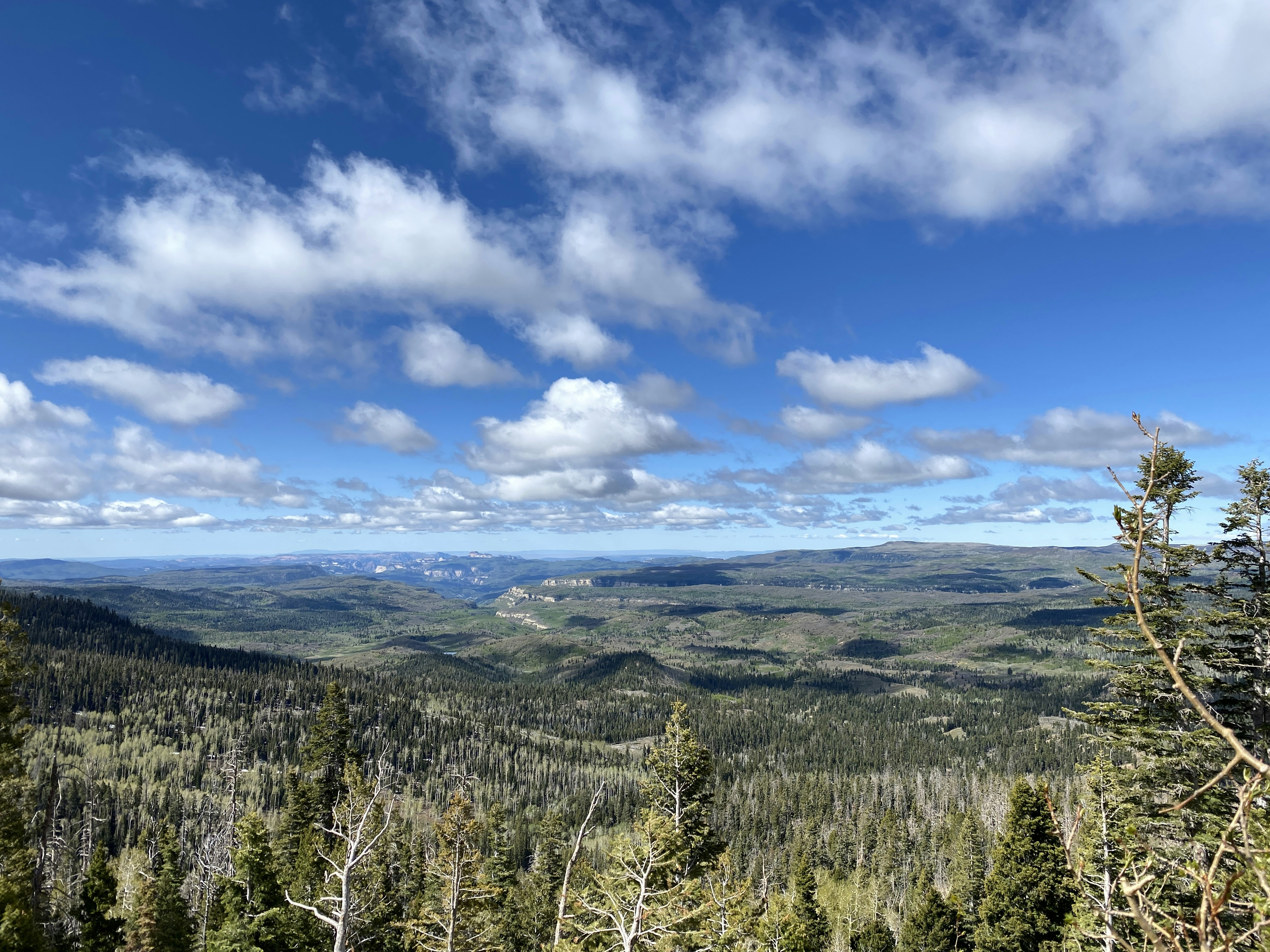 Définition de dixie | Dictionnaire français