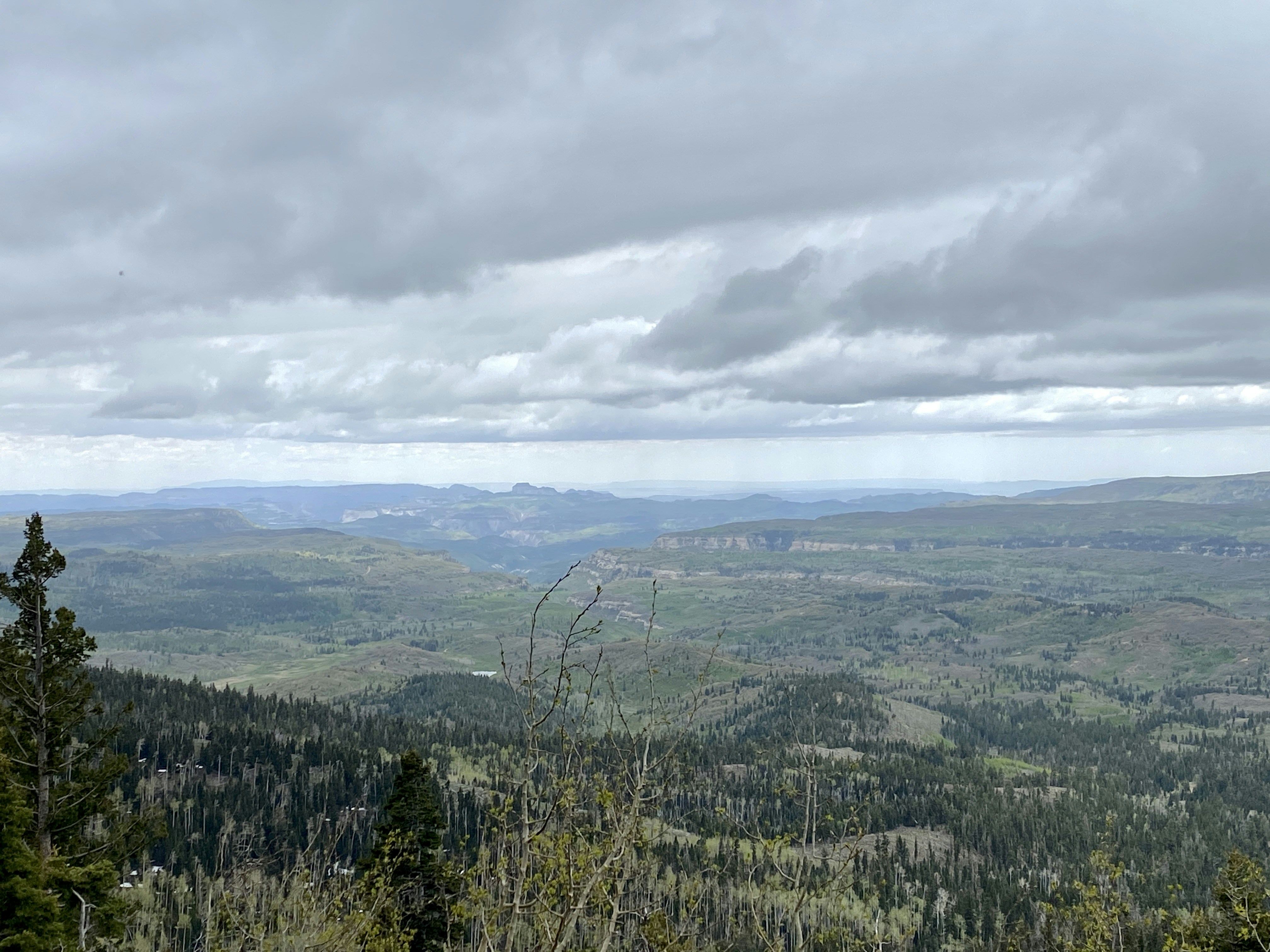 Définition de dixie | Dictionnaire français