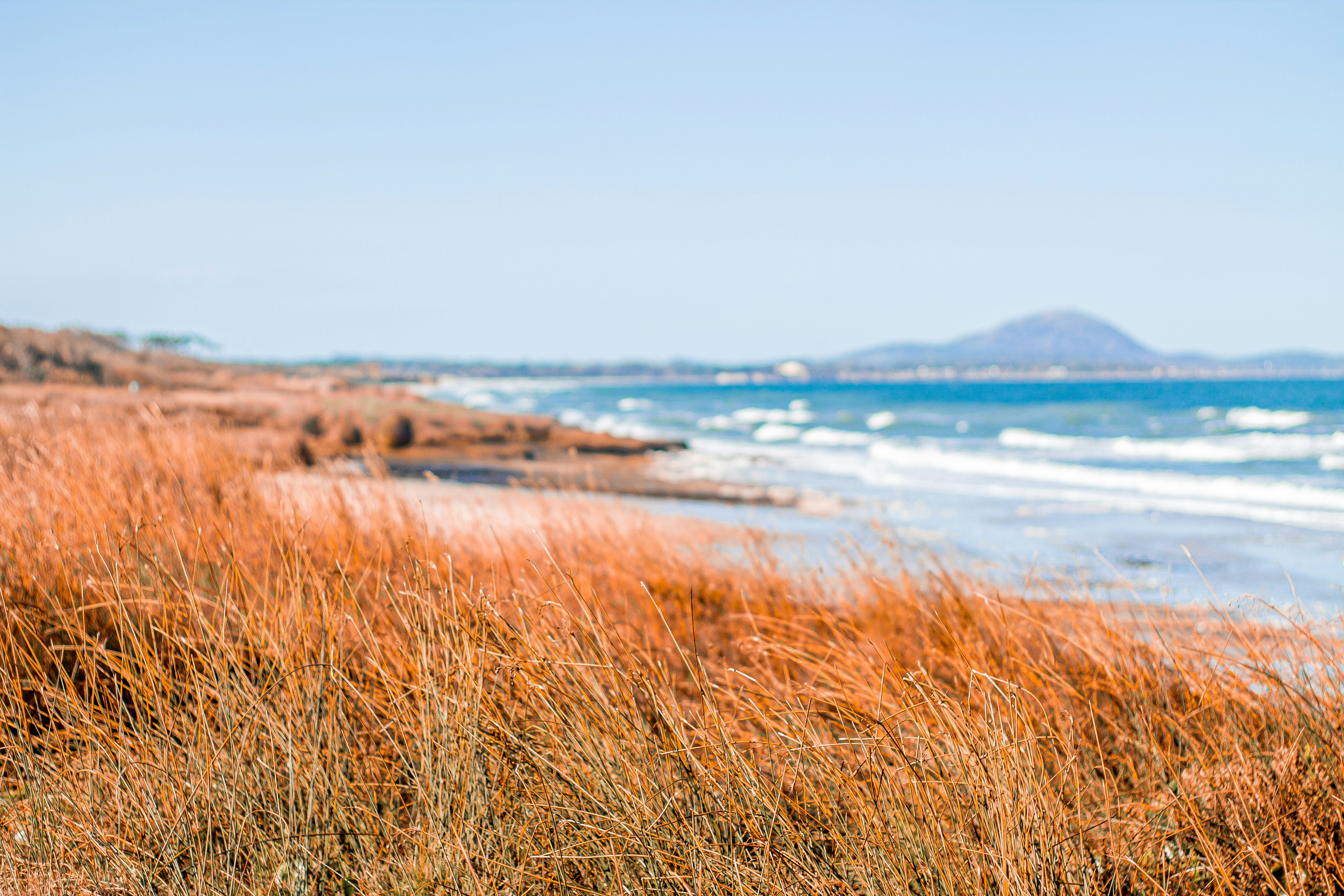Beach Sun Pictures | Download Free Images on Unsplash
