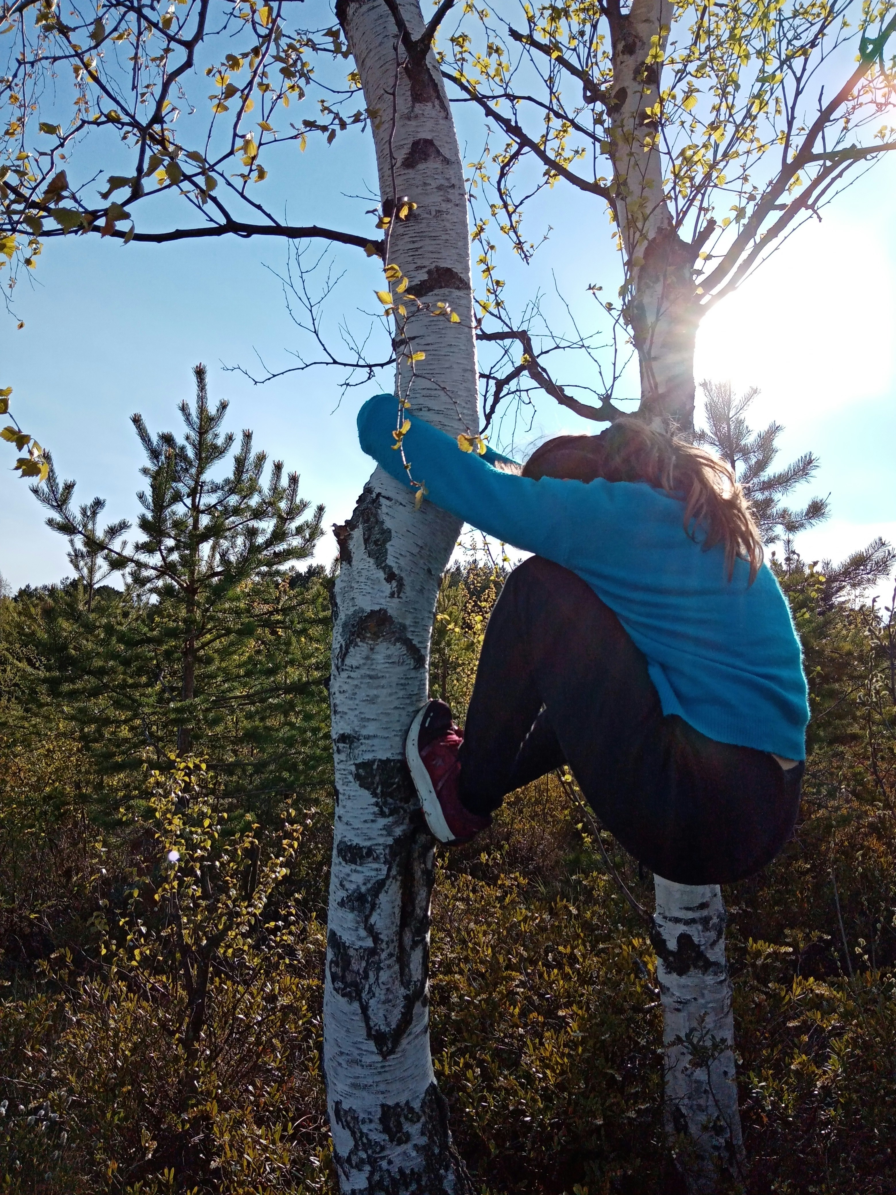 woman in blue long sleeve shirt and black pants climbing on brown tree