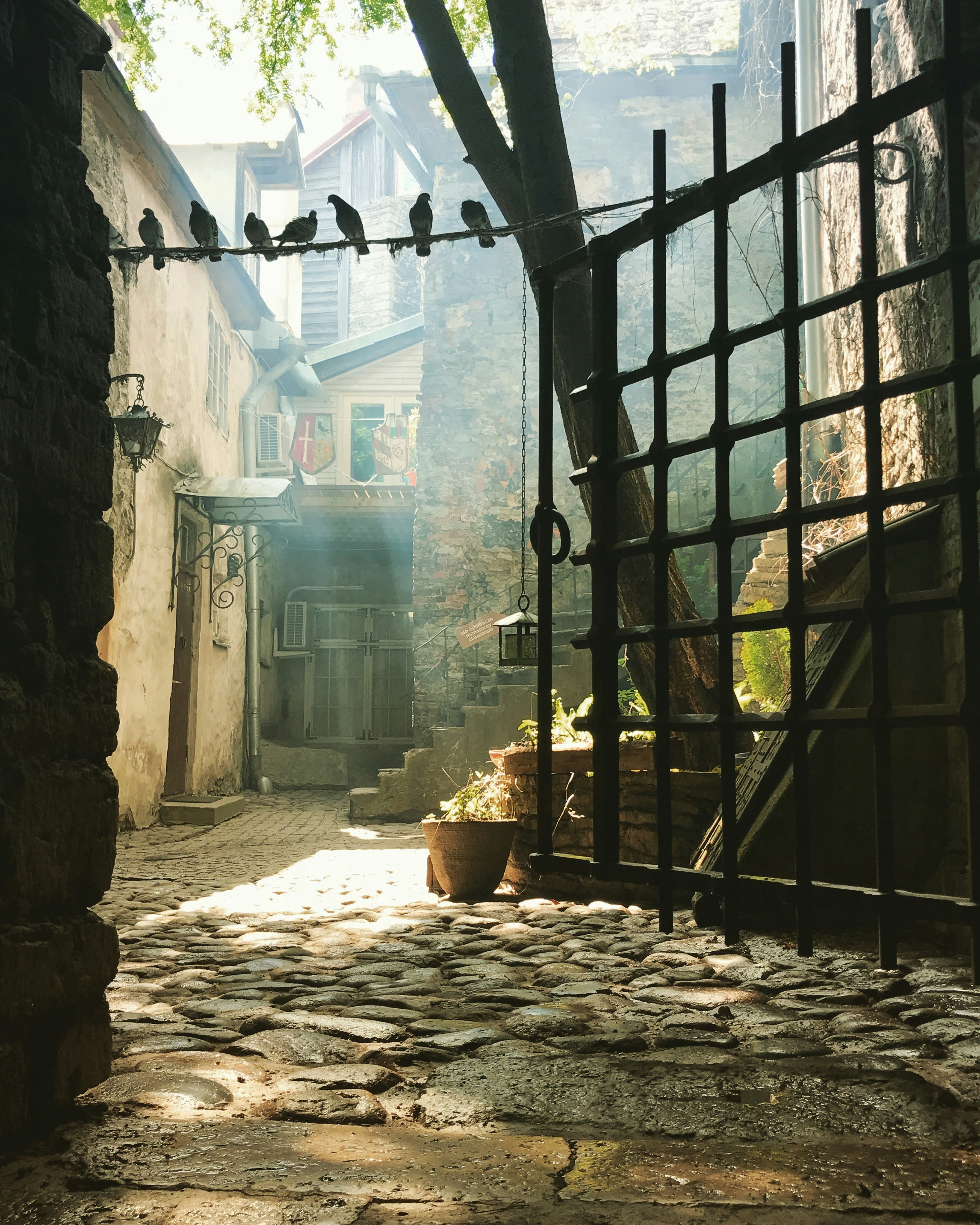 Sunlit Cobblestones and Iron Gate: A Quiet Alley Portrait