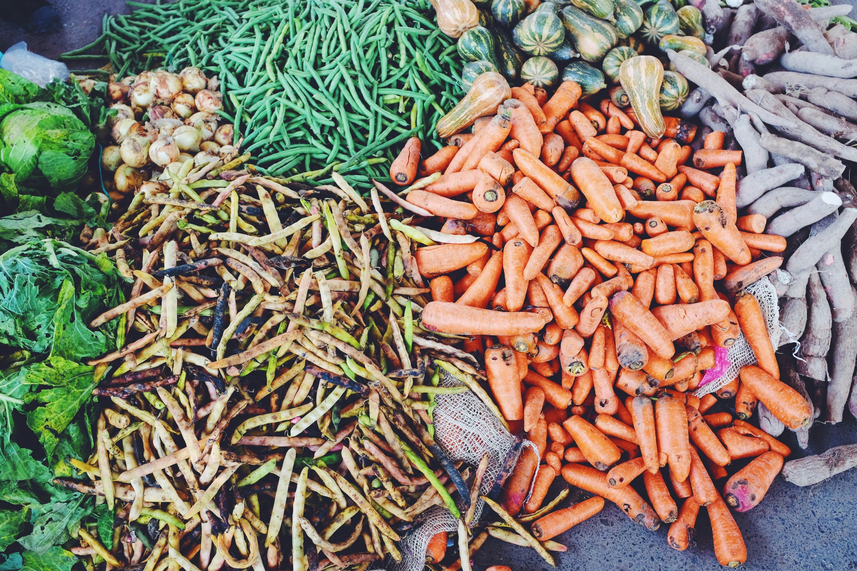 Harvest Mosaic: A Colorful Bounty of Carrots, Greens, and Roots