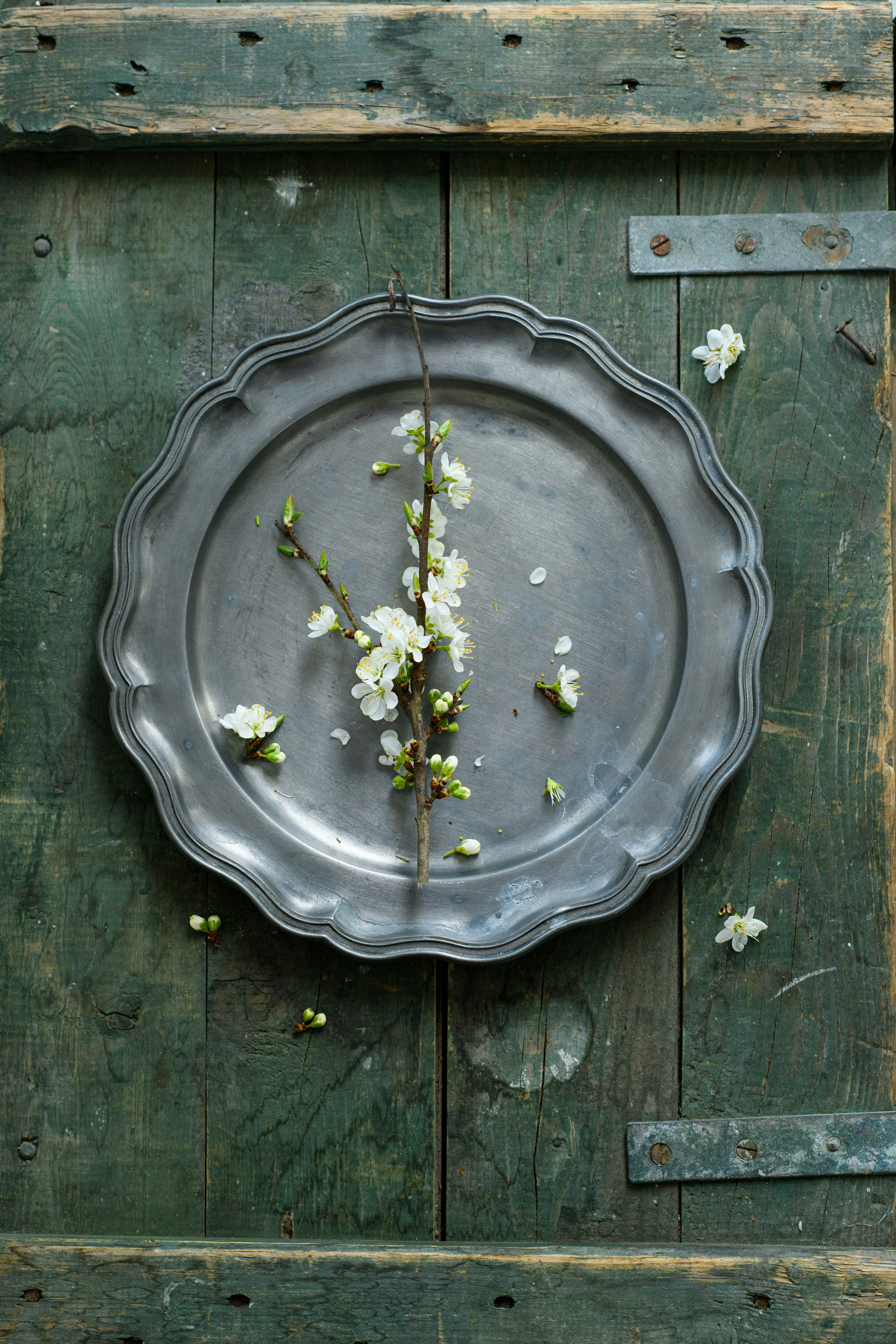 Blossoms on Iron: A Quiet Moment on Weathered Wood