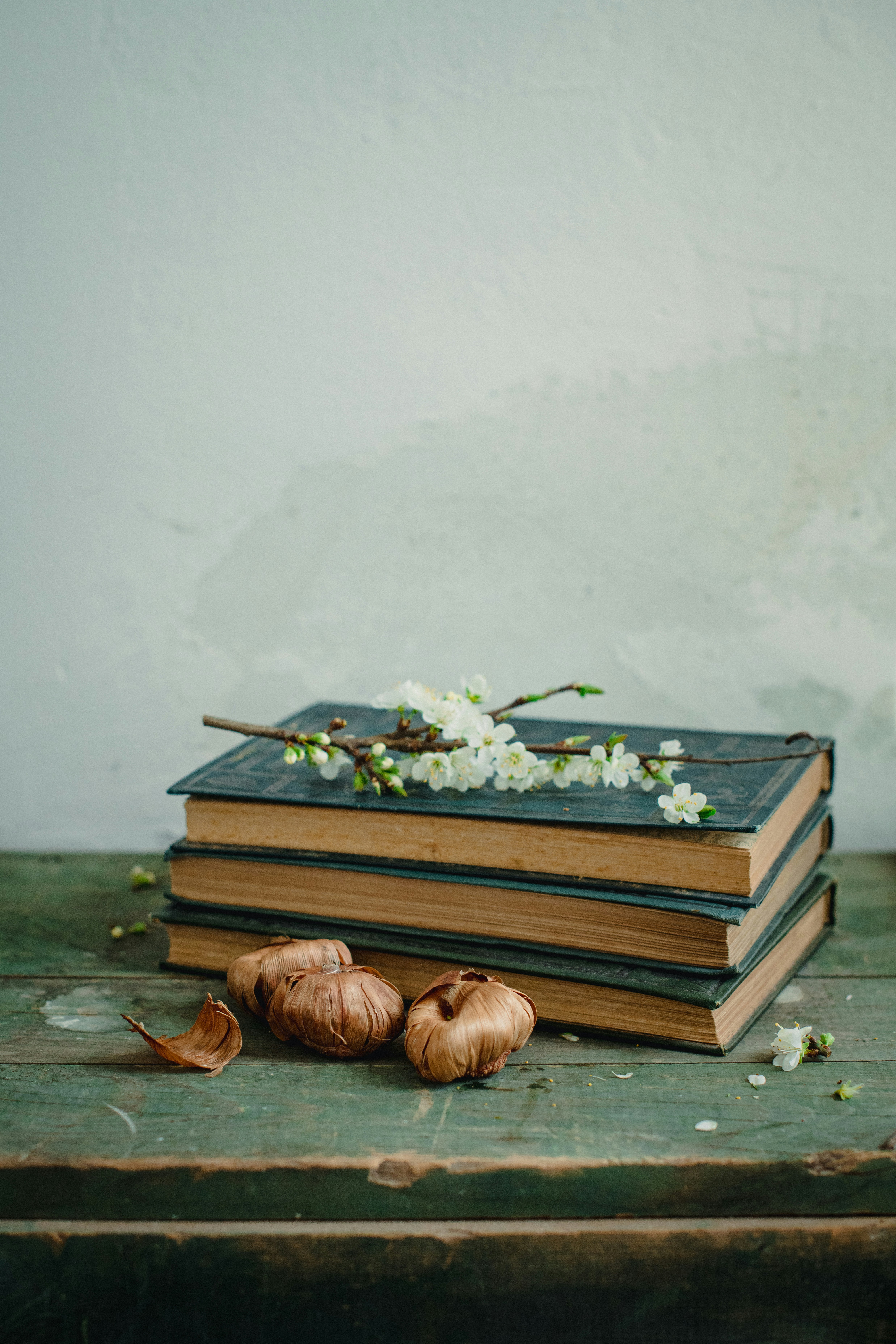 Blossoms on the Ledger: A Still-Life of Books, Branches, and Chestnuts