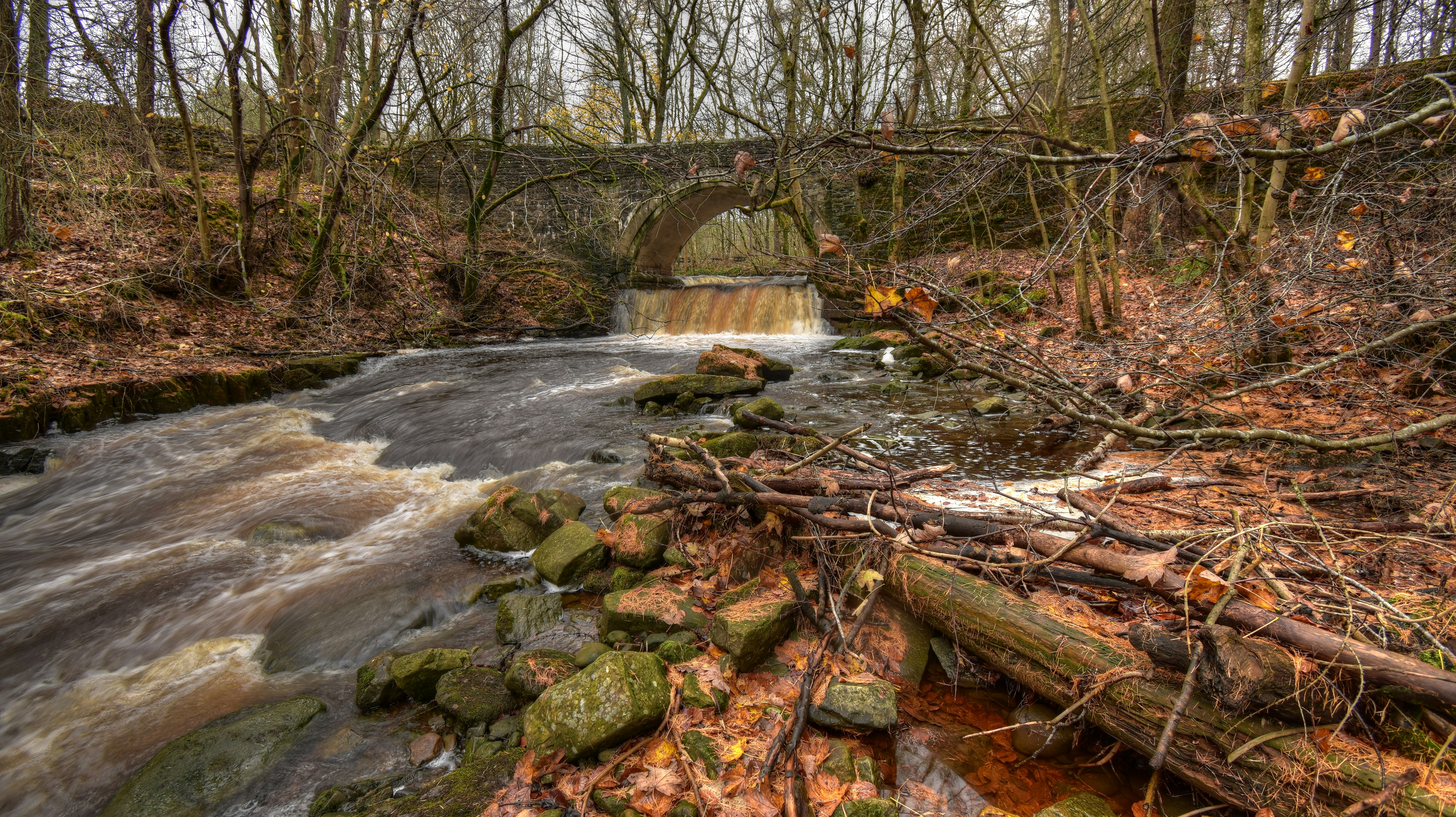 Brown tree log on river photo – Free Bowlees uk Image on Unsplash