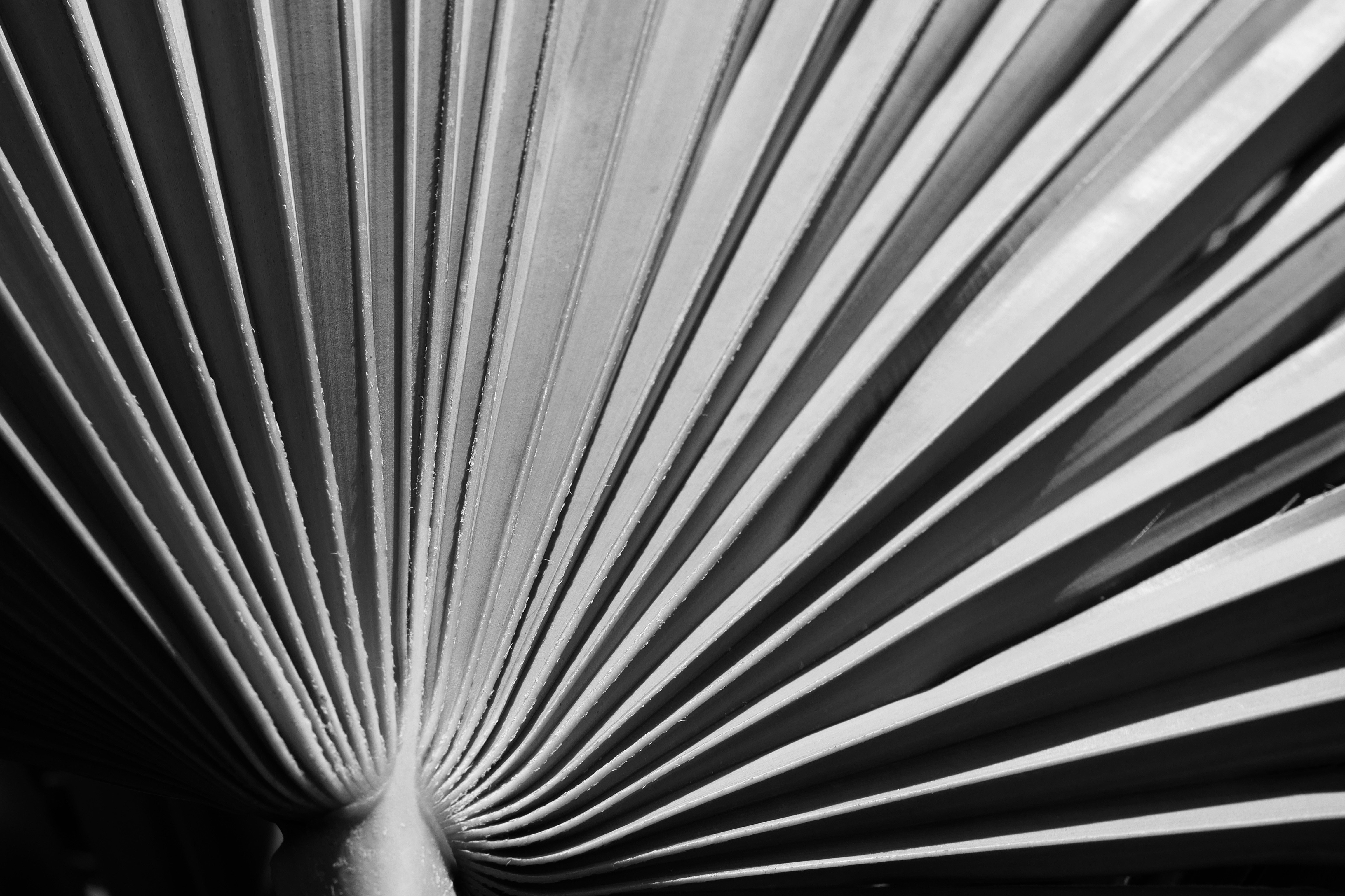 How Do Speed Reading Techniques Vary for Individuals with Different Levels of Reading ...