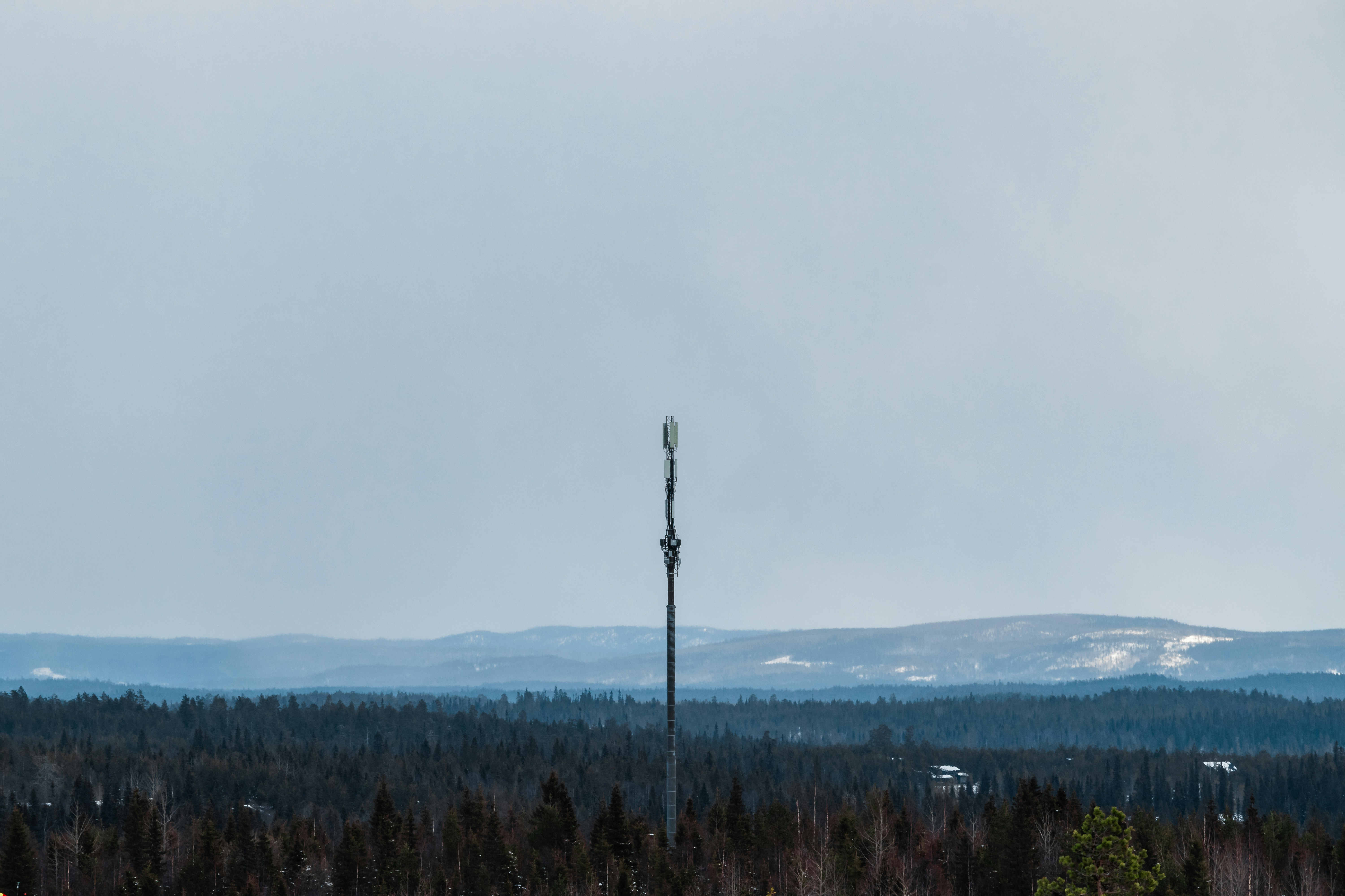 Solitary Signal Tower Stands Above a Snow-Dusted Boreal Horizon
