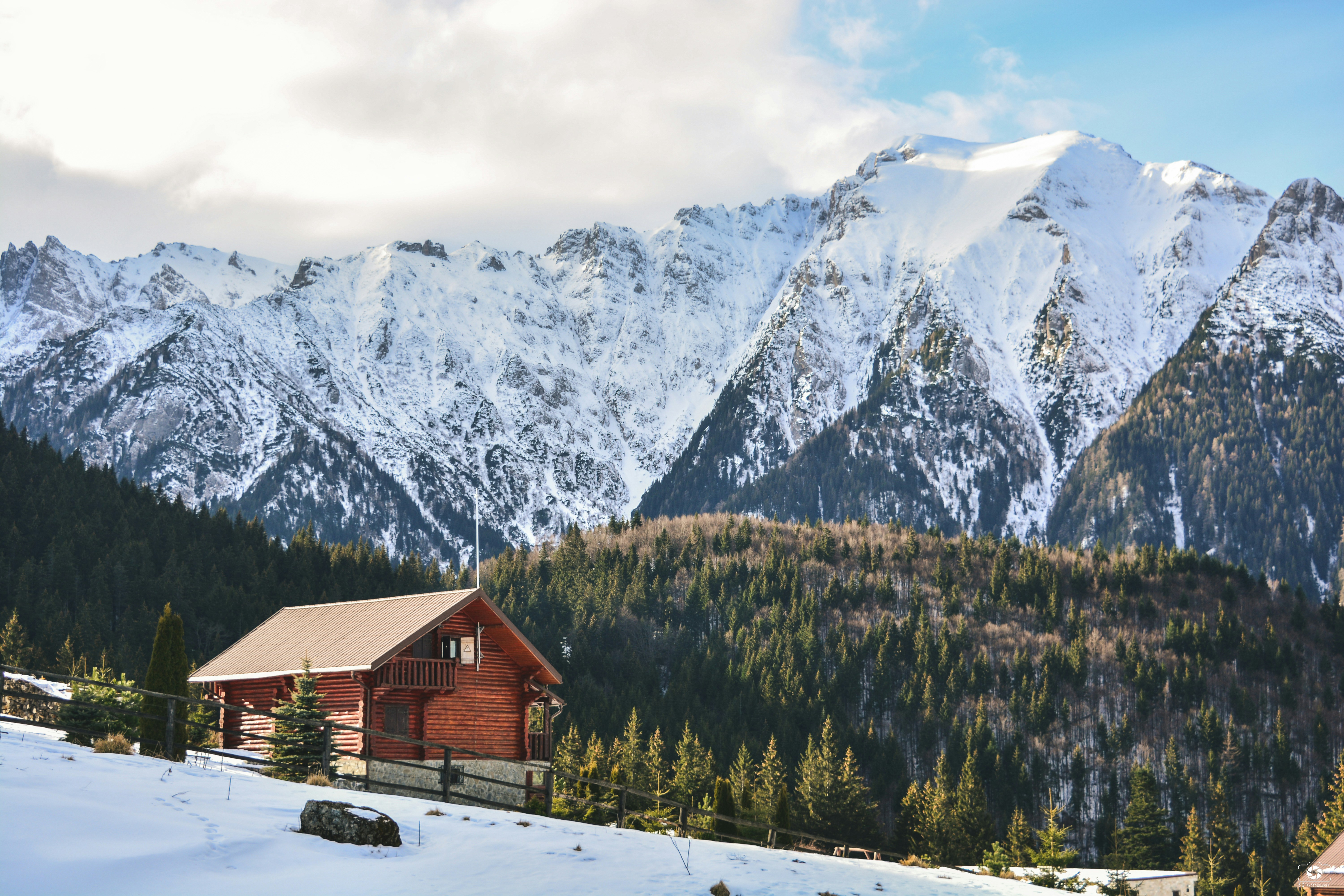 Wooden cabin nestled in snowy mountains with evergreen forest in the foreground.