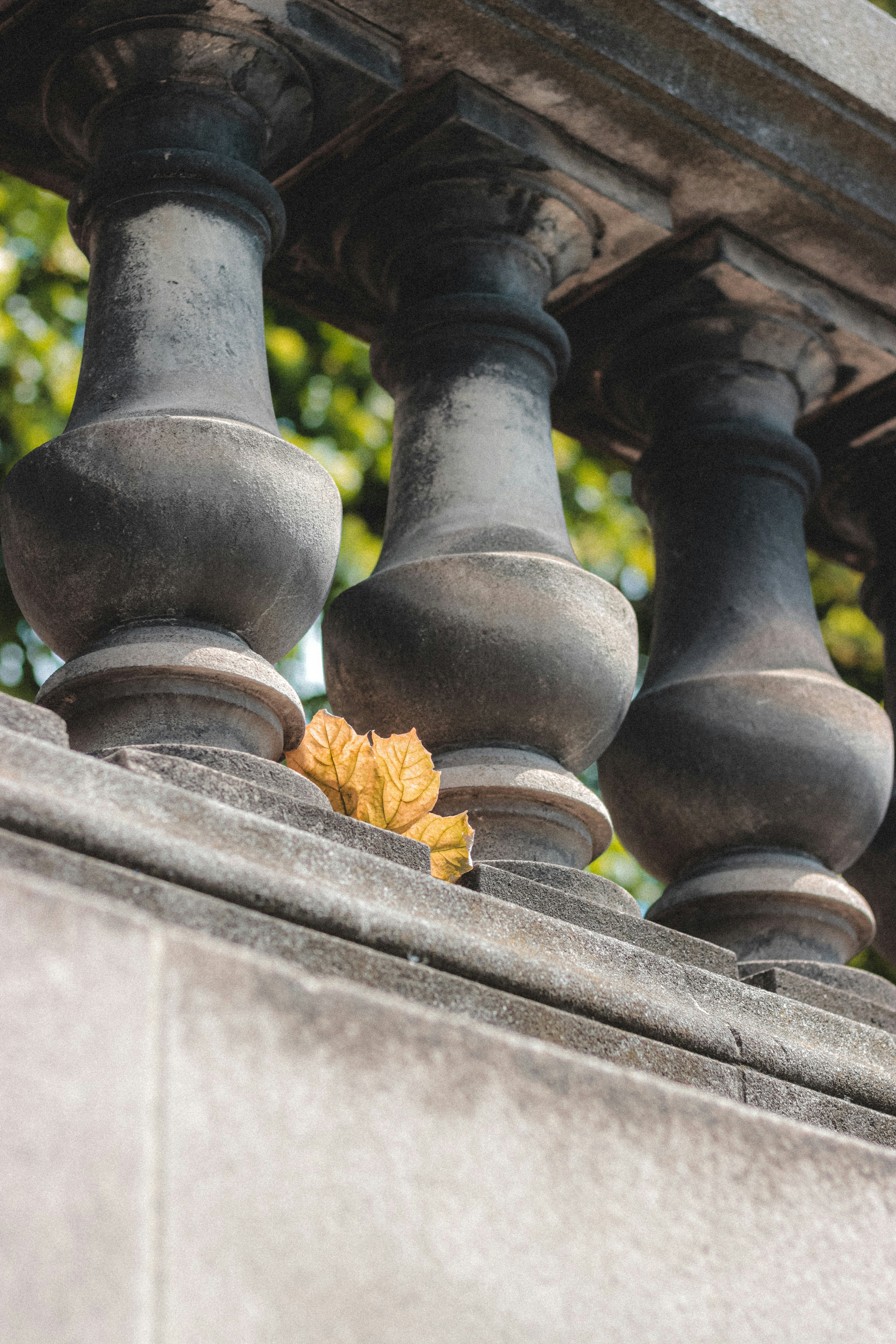 Autumn Leaf Nestled Between Weathered Balusters